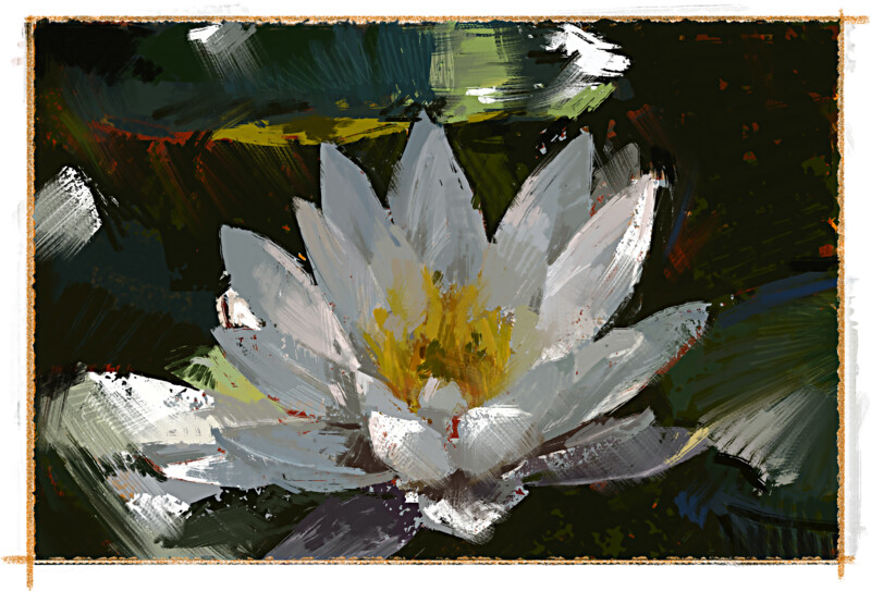 ArtStation - Chan Whee