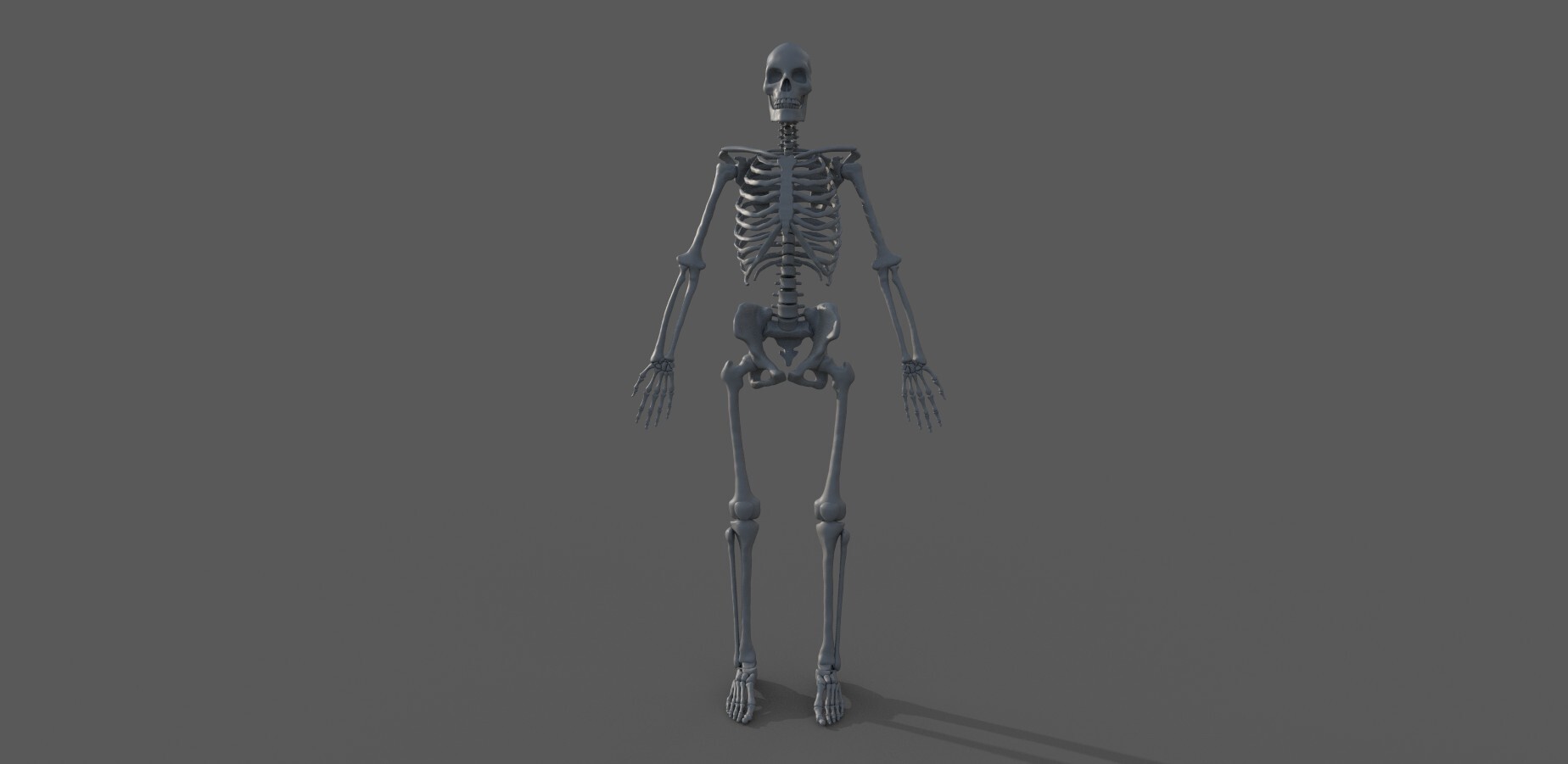 ArtStation - SKELETON