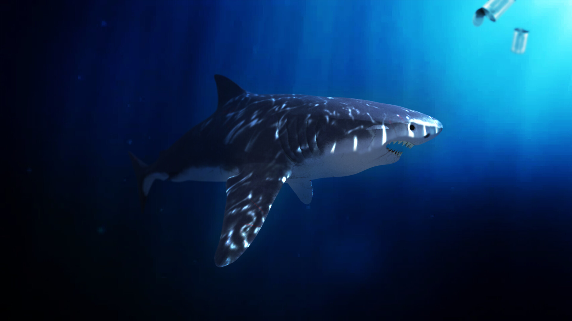 ArtStation - Uni Work: Shark/Jerry's Room