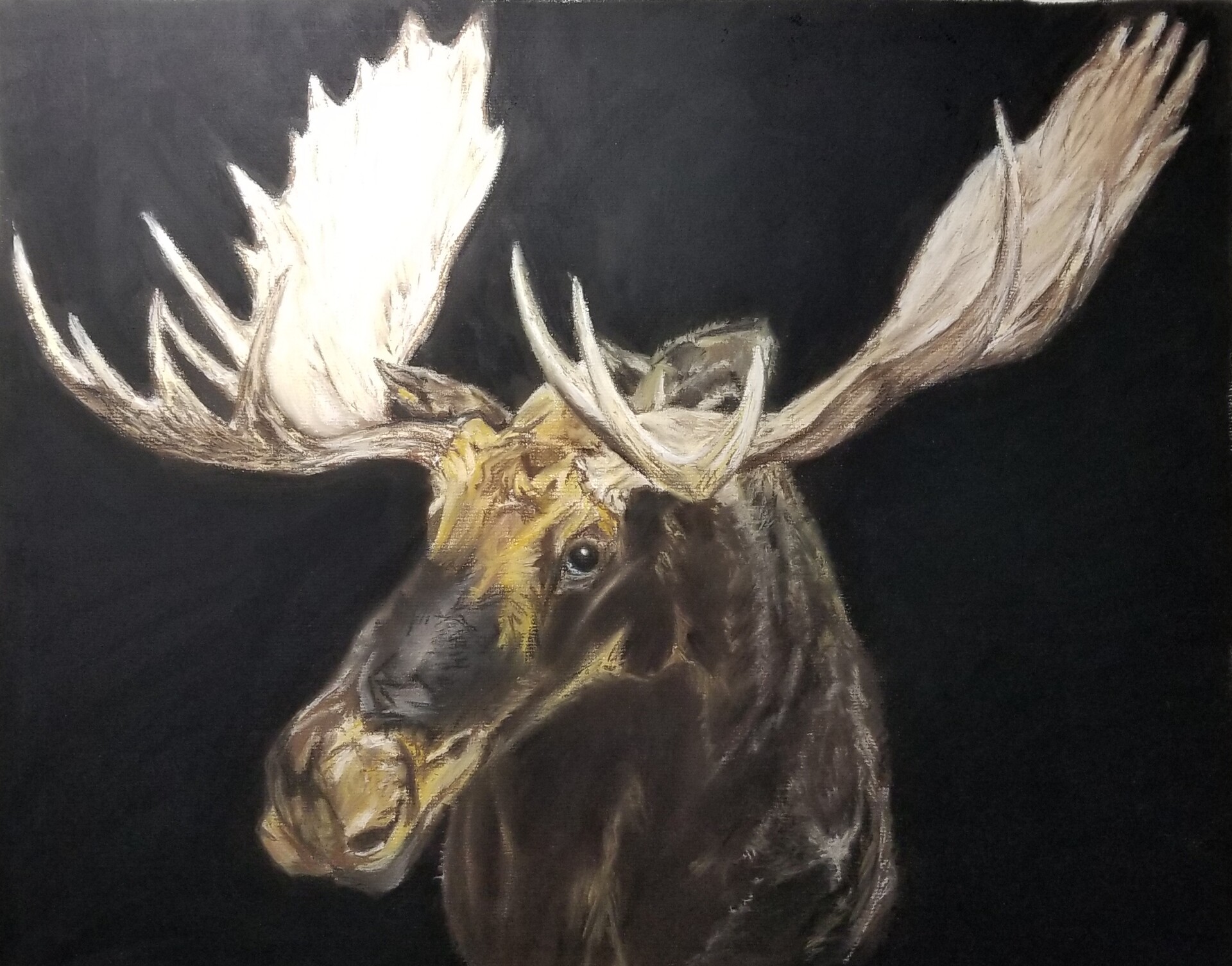 sylvie Filion - Pastel work