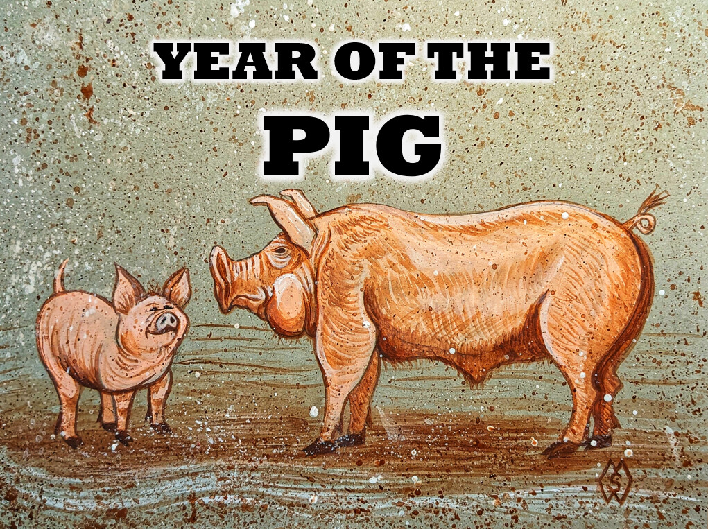Matt Starr - Year of the PIg