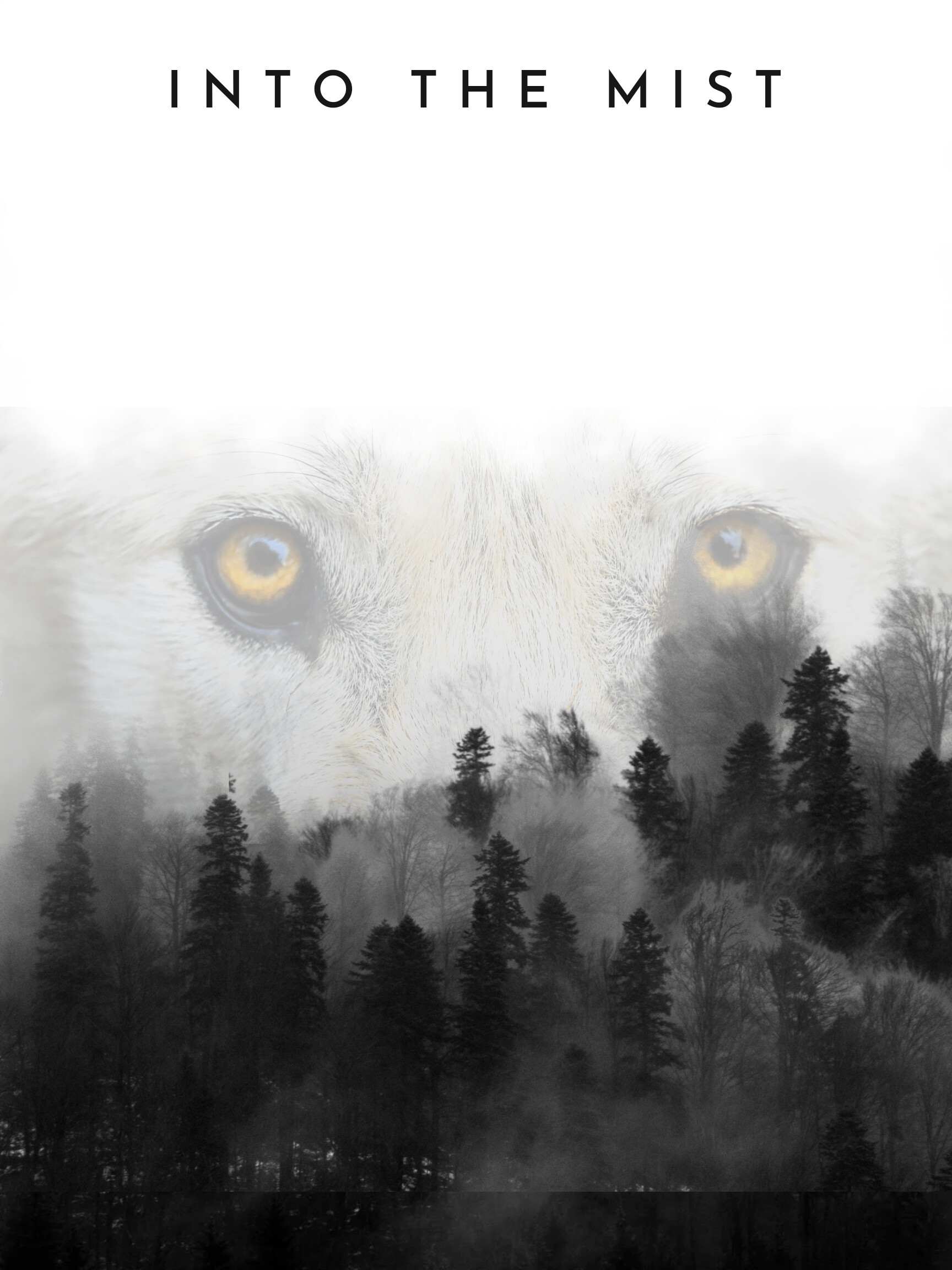 ArtStation - Into the Mist Book Cover alternate