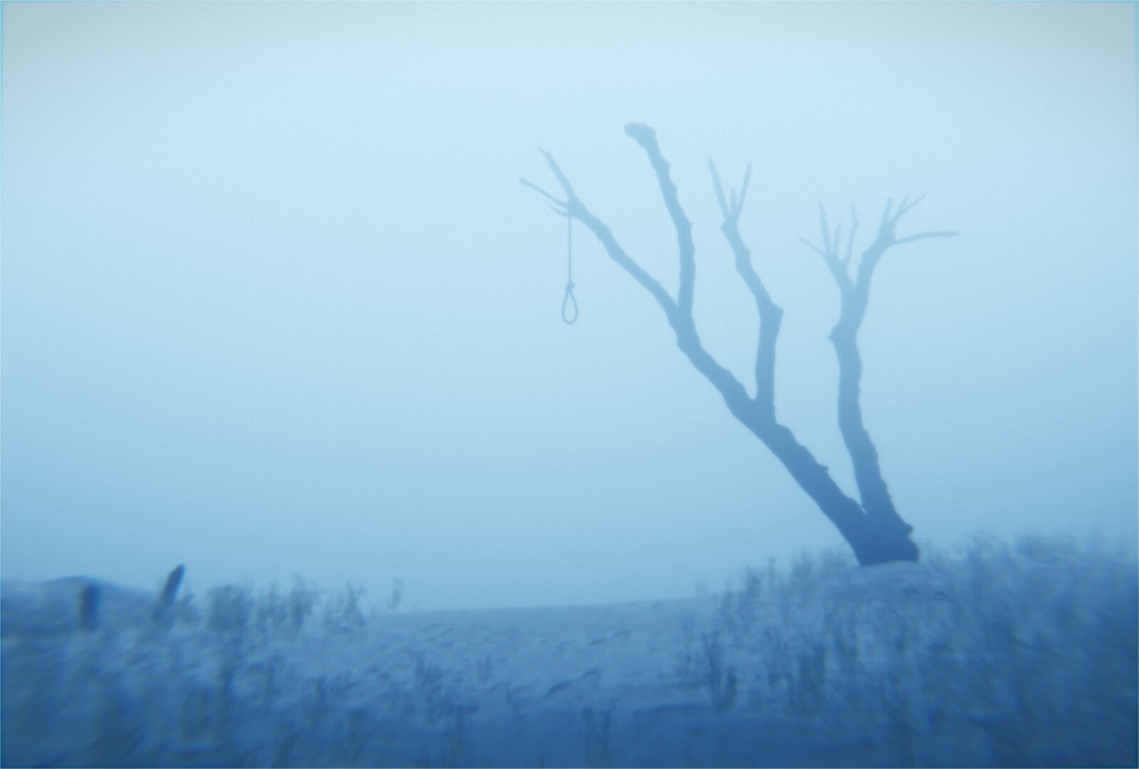 Alex Barbu - Winter landscape study