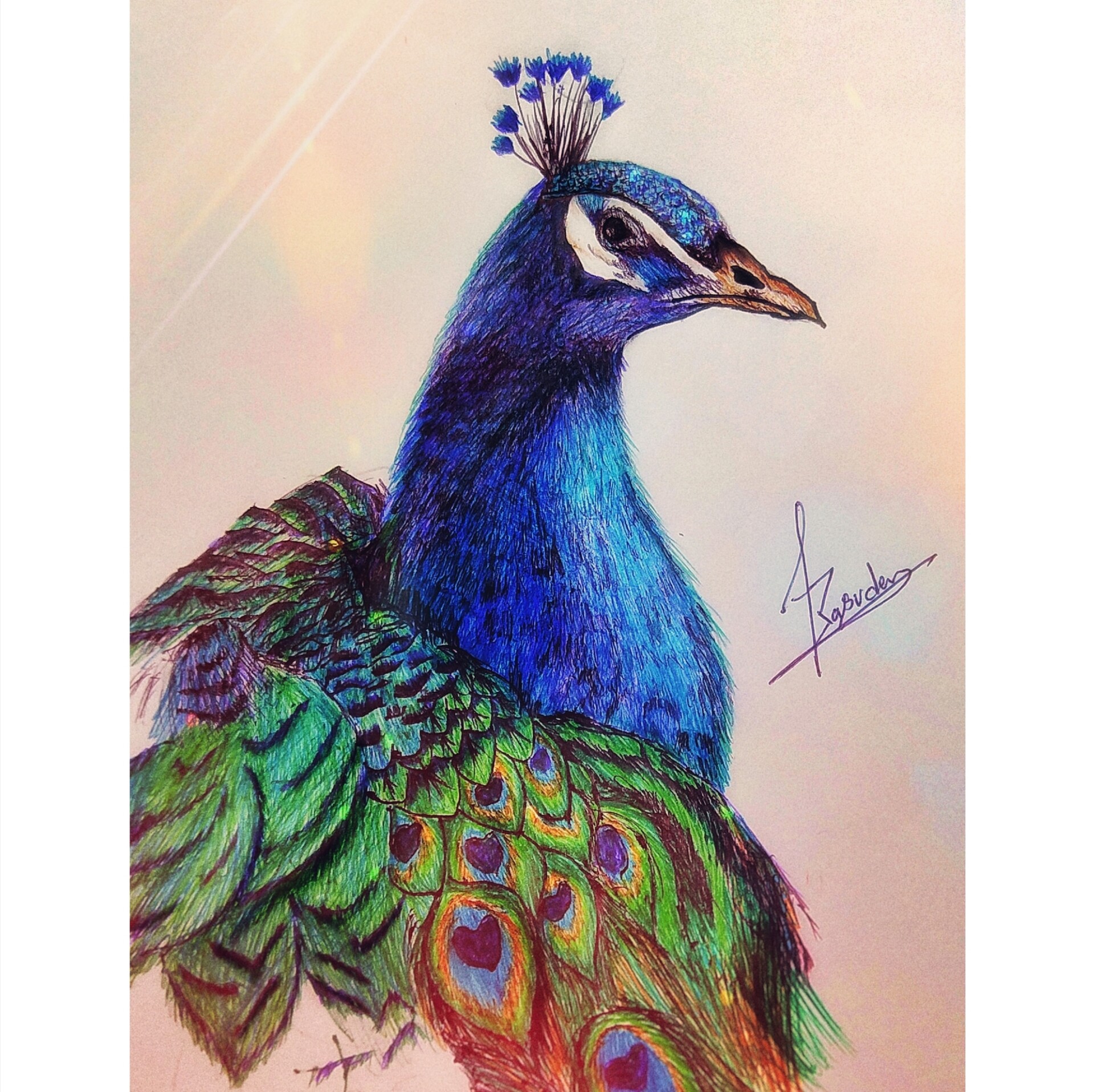 how to draw peacock using hand