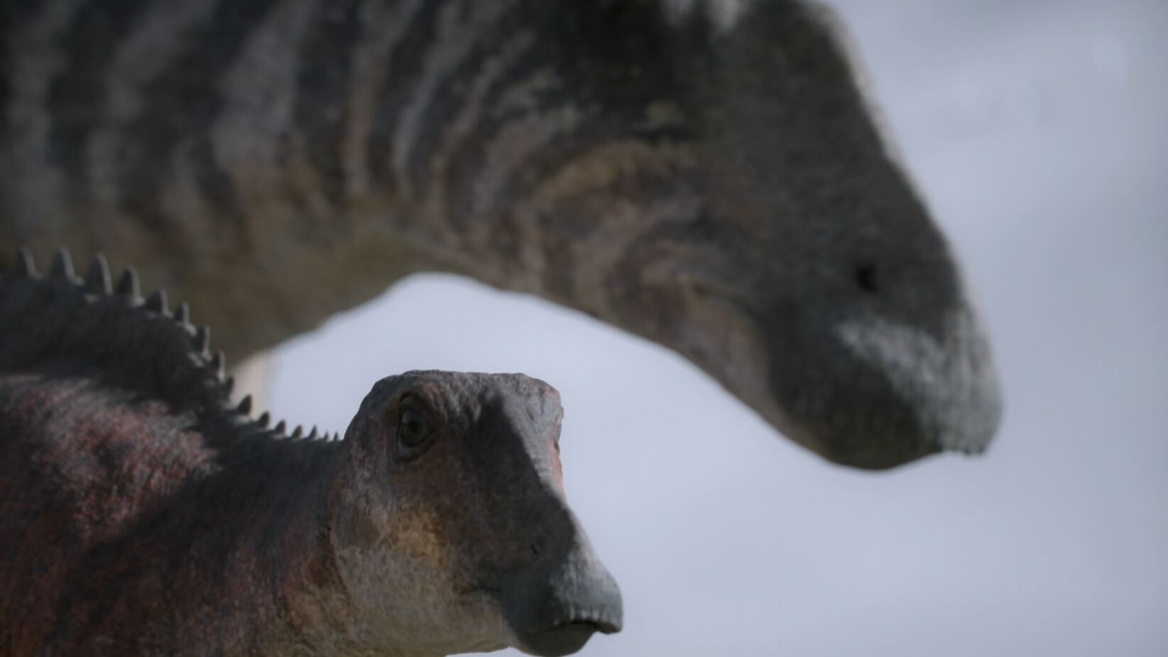 Haydn McGaw - Prehistoric Planet - Secernosaurus Juvenile