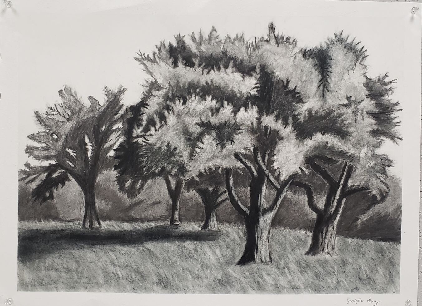 ArtStation - Drawing Trees Practice
