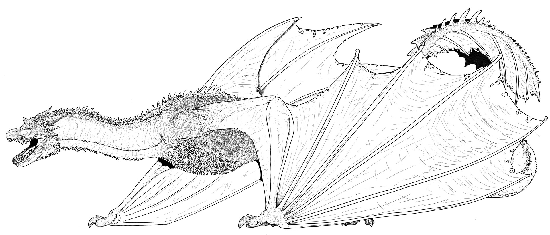 Artstation Hotd Dragon Oc Line Art