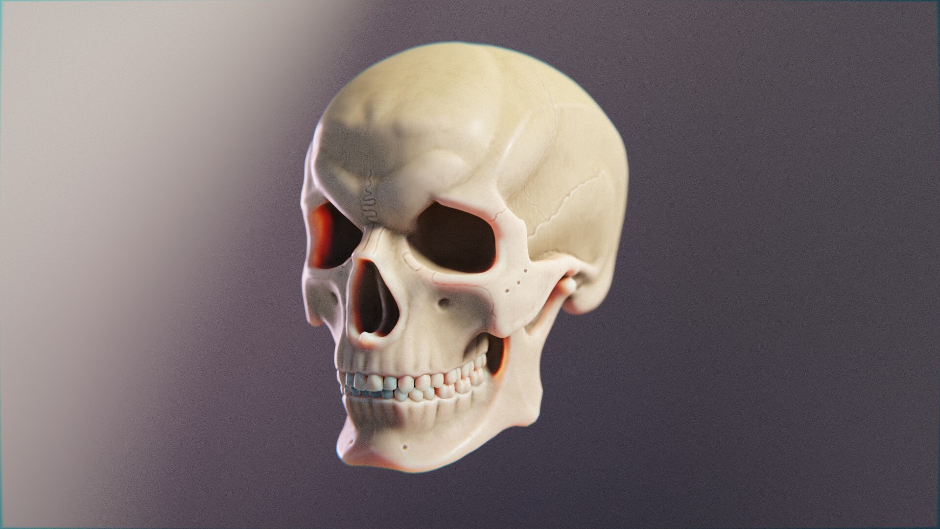 ArtStation - Skull