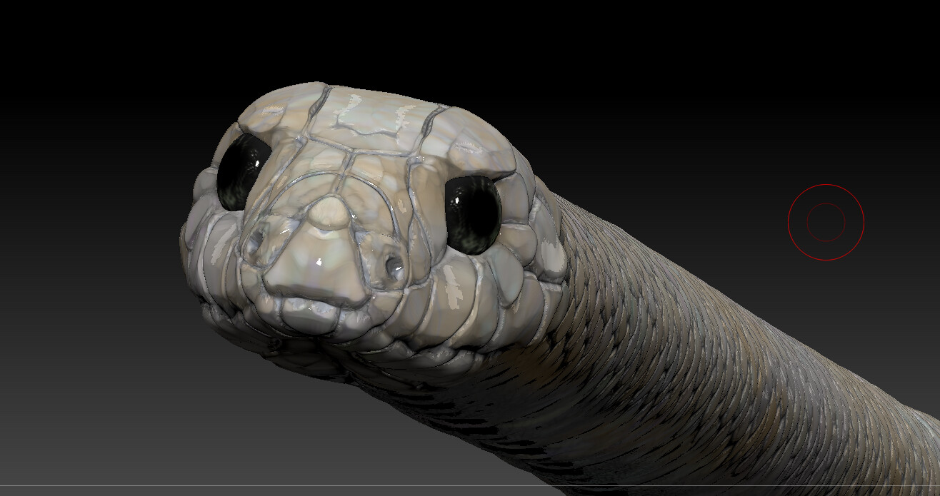 Lavesh audichya - Guardian snake