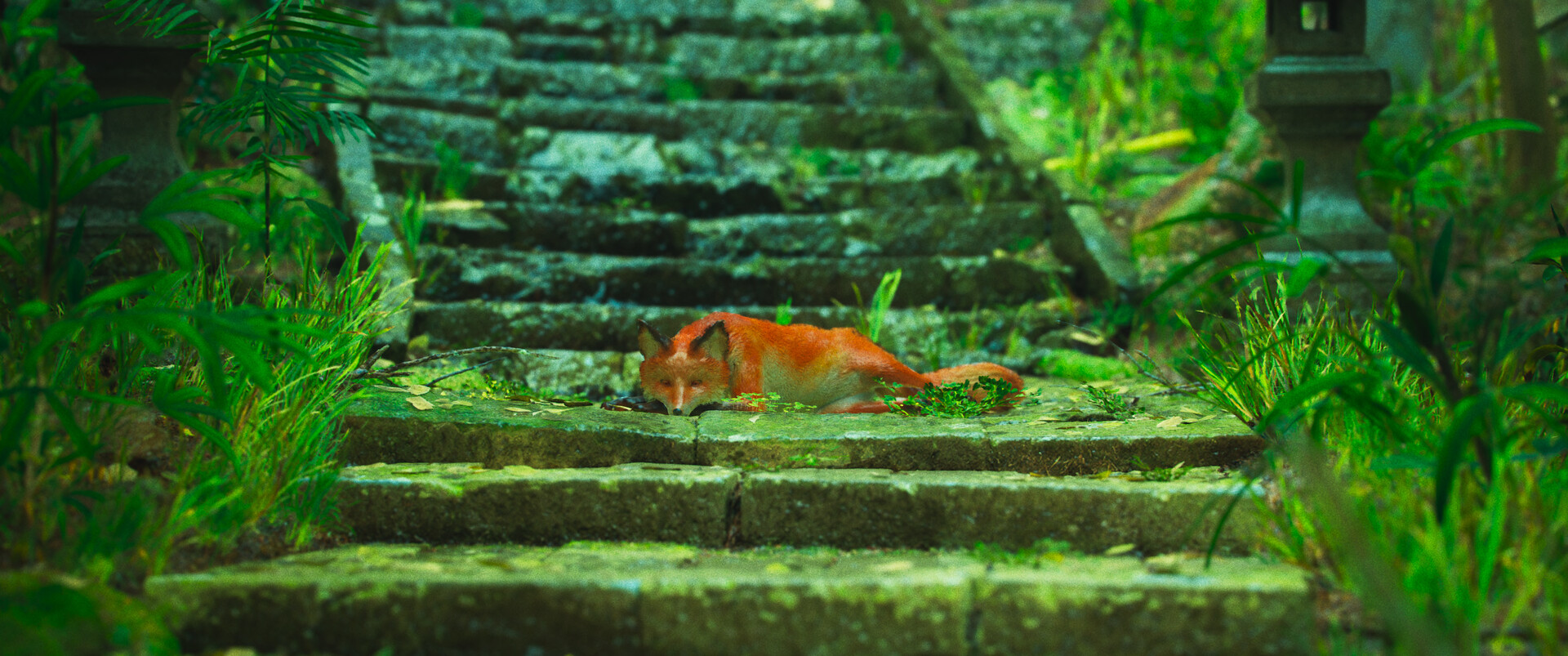 Uddesh Mukherjee - (kitsune Shrine) 狐 神社