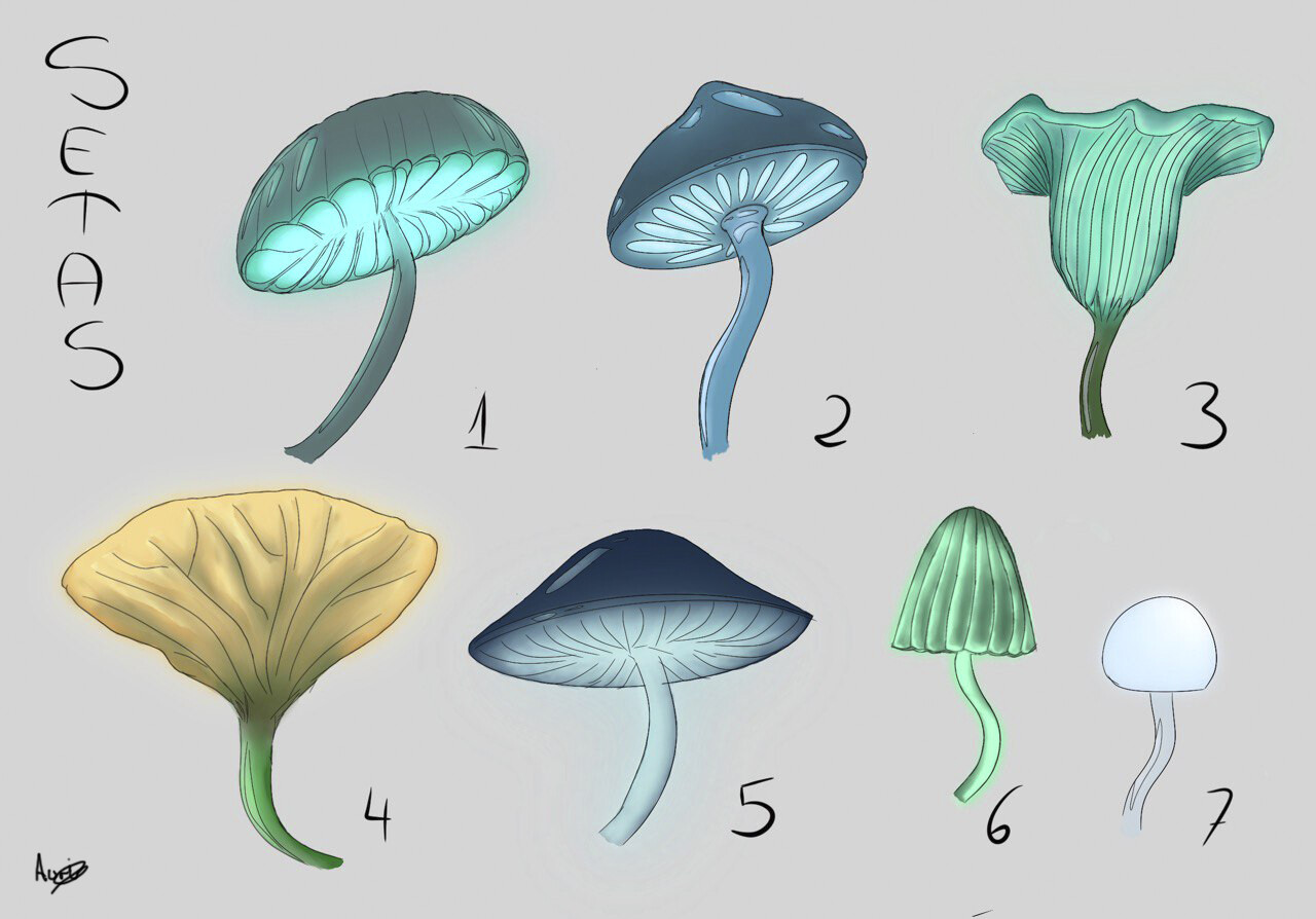 ArtStation - Mushrooms and Minerals