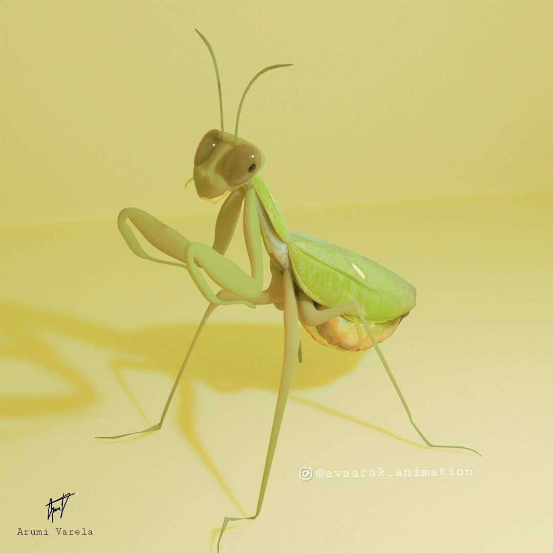 ArtStation - Mantis 3D model.