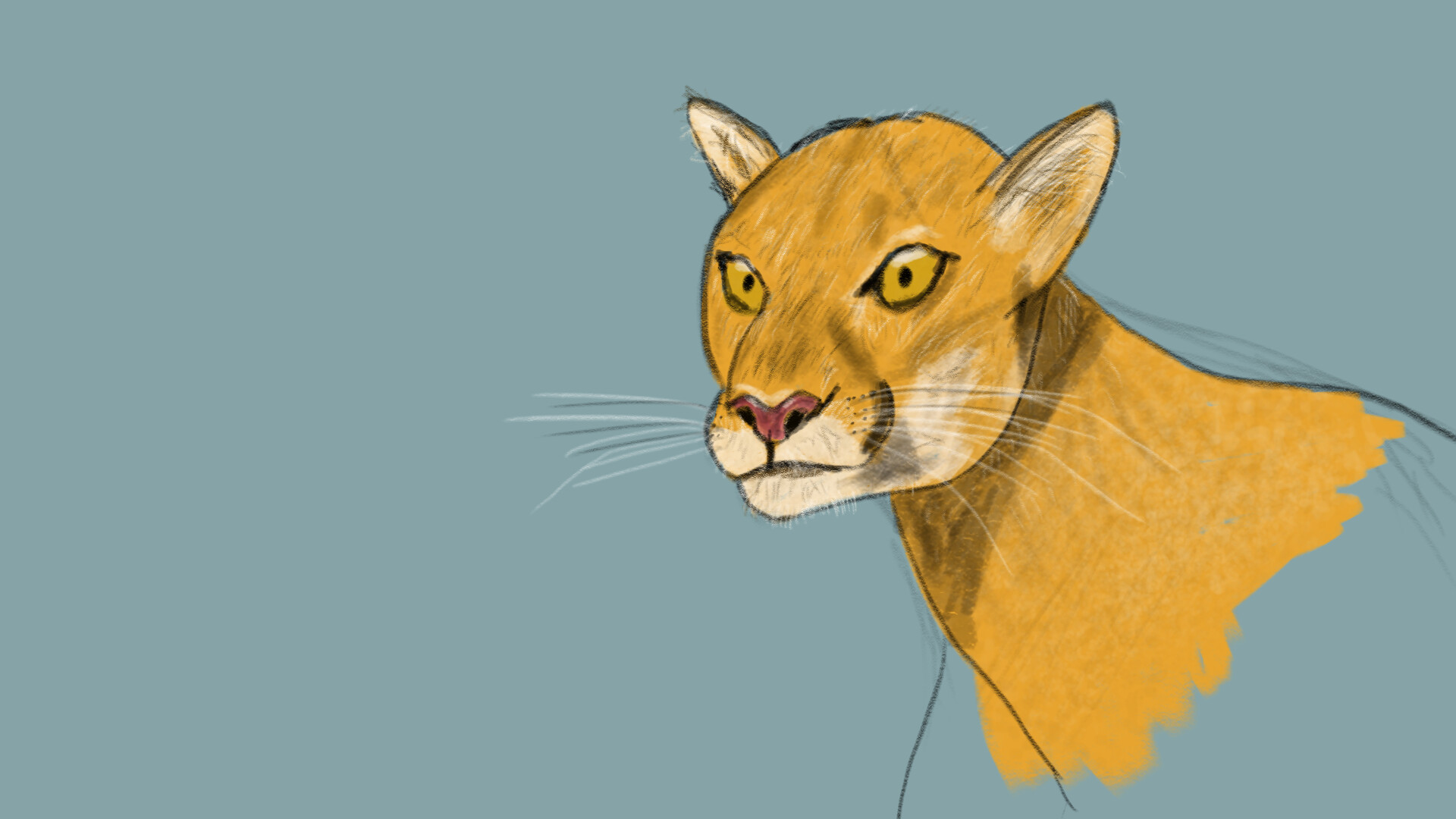 Brian Wenger - 2023-02-02 Mountain Lion