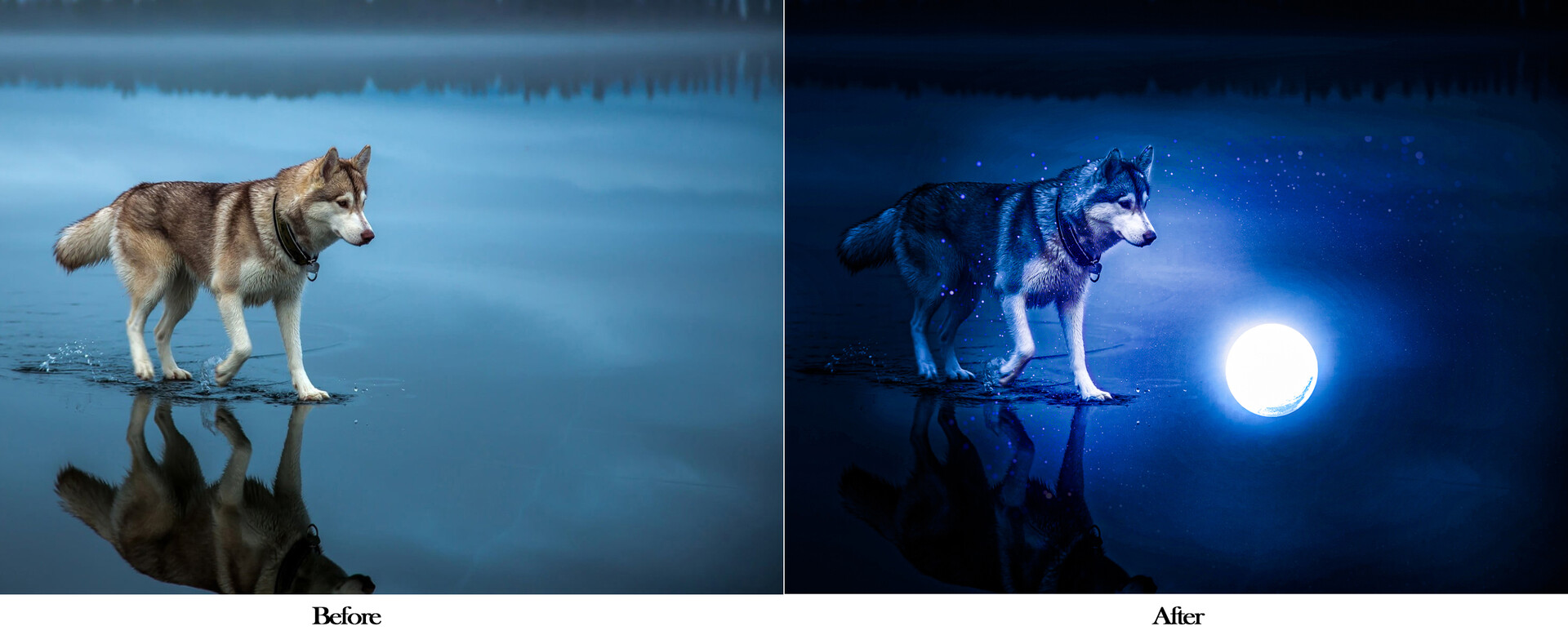 ArtStation - PHOTO MANIPULATION