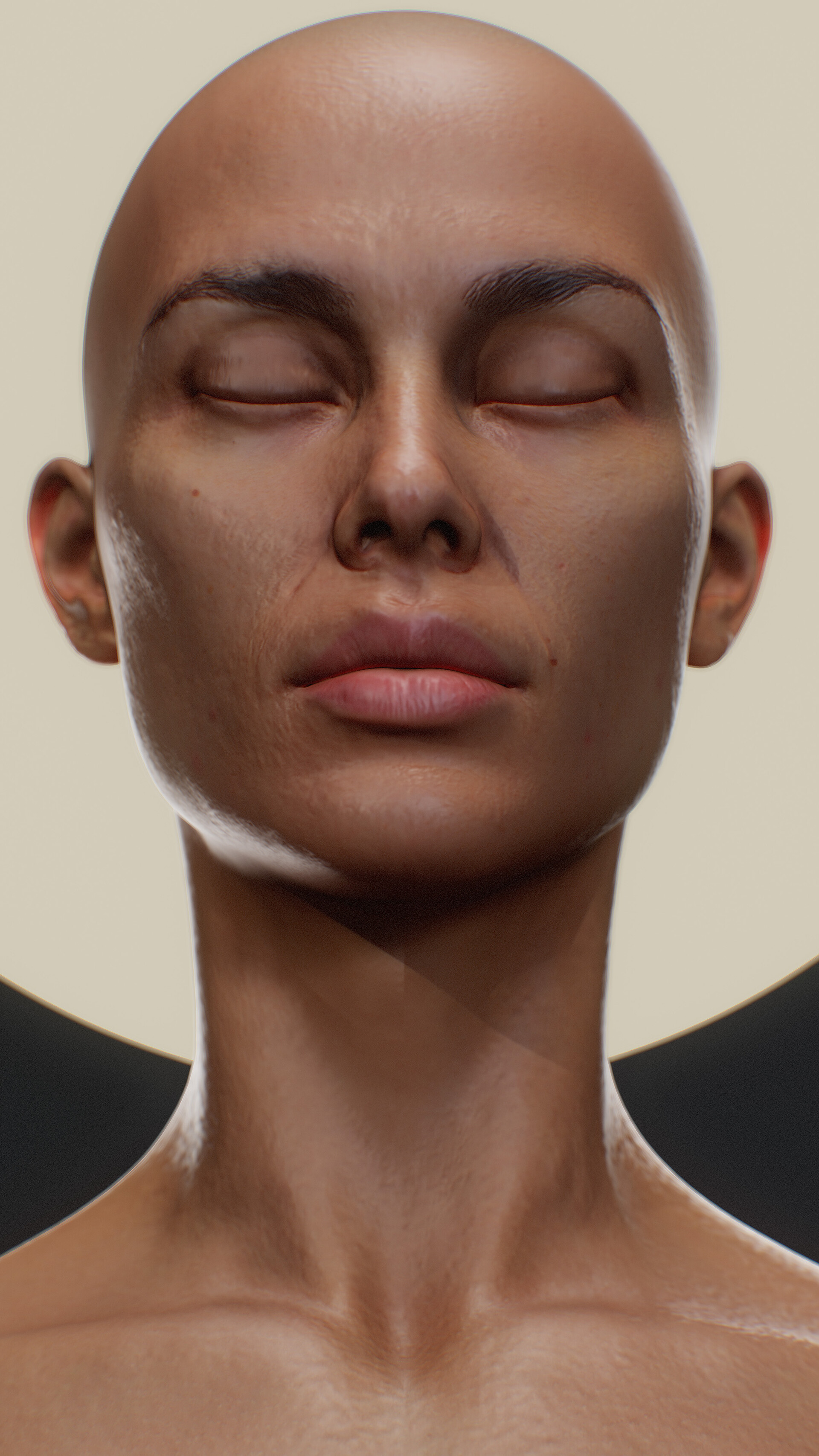 ArtStation - Female Anatomy