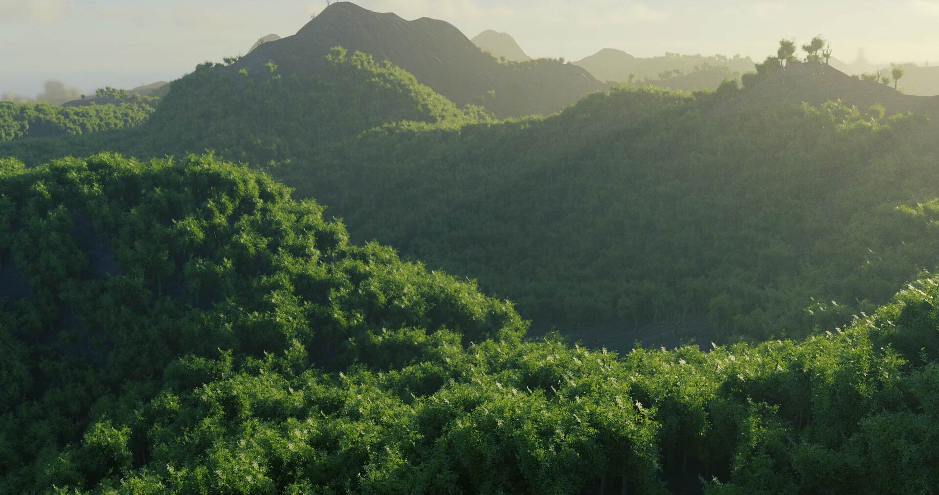 ArtStation - Forest Made in Blender