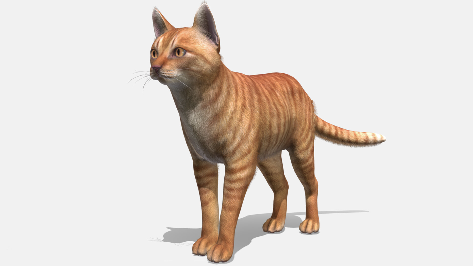 ArtStation - Cat simple