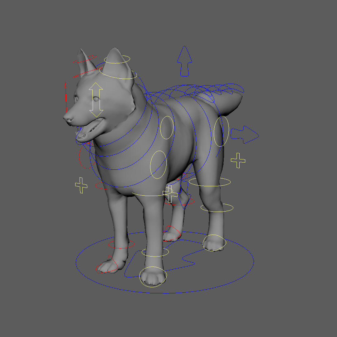 Connor Featherstone - Quadruped Hybrid IK/FK Rigging Practice - Wolf Puppy