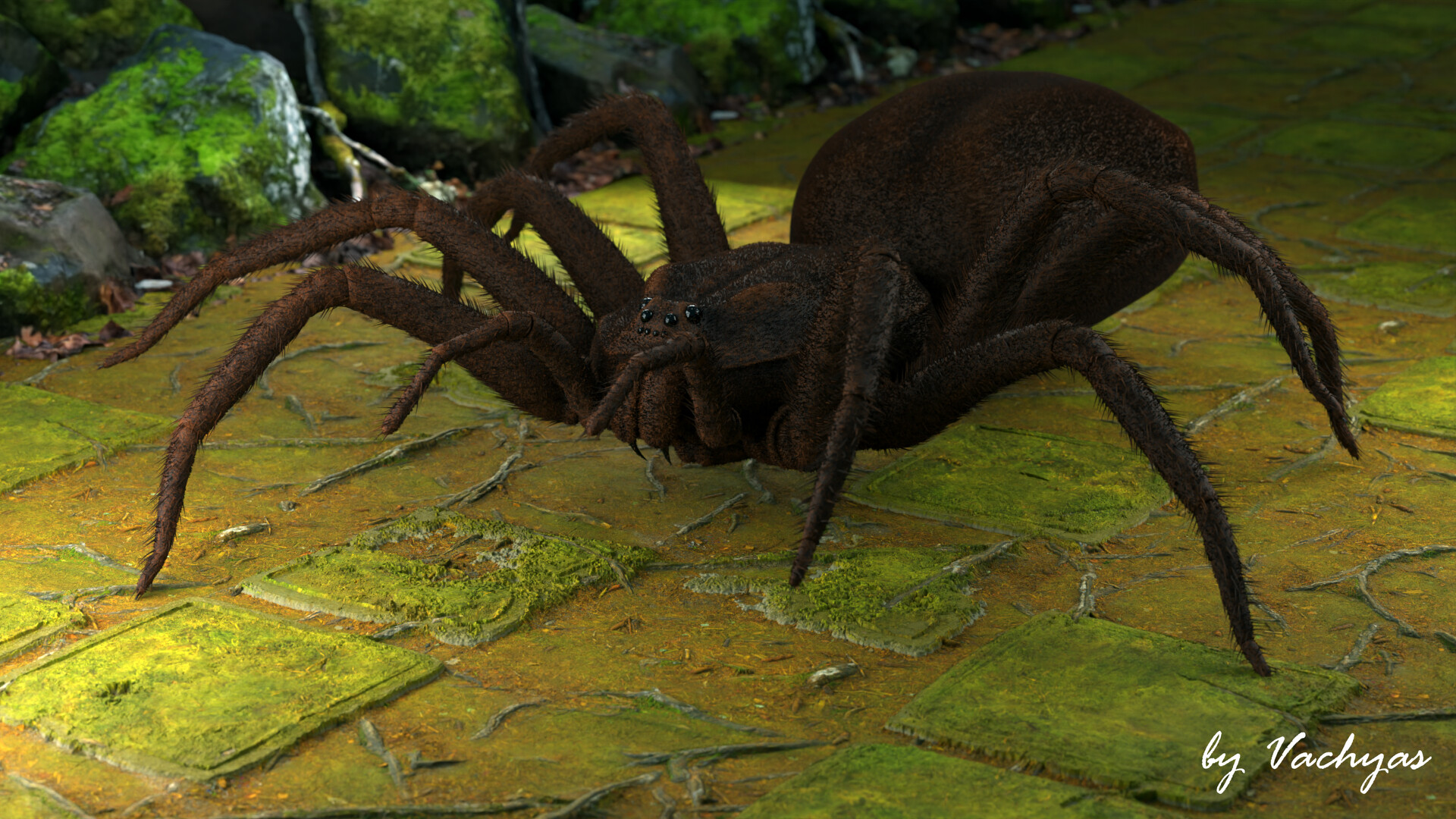 ArtStation - Tarantula Spider