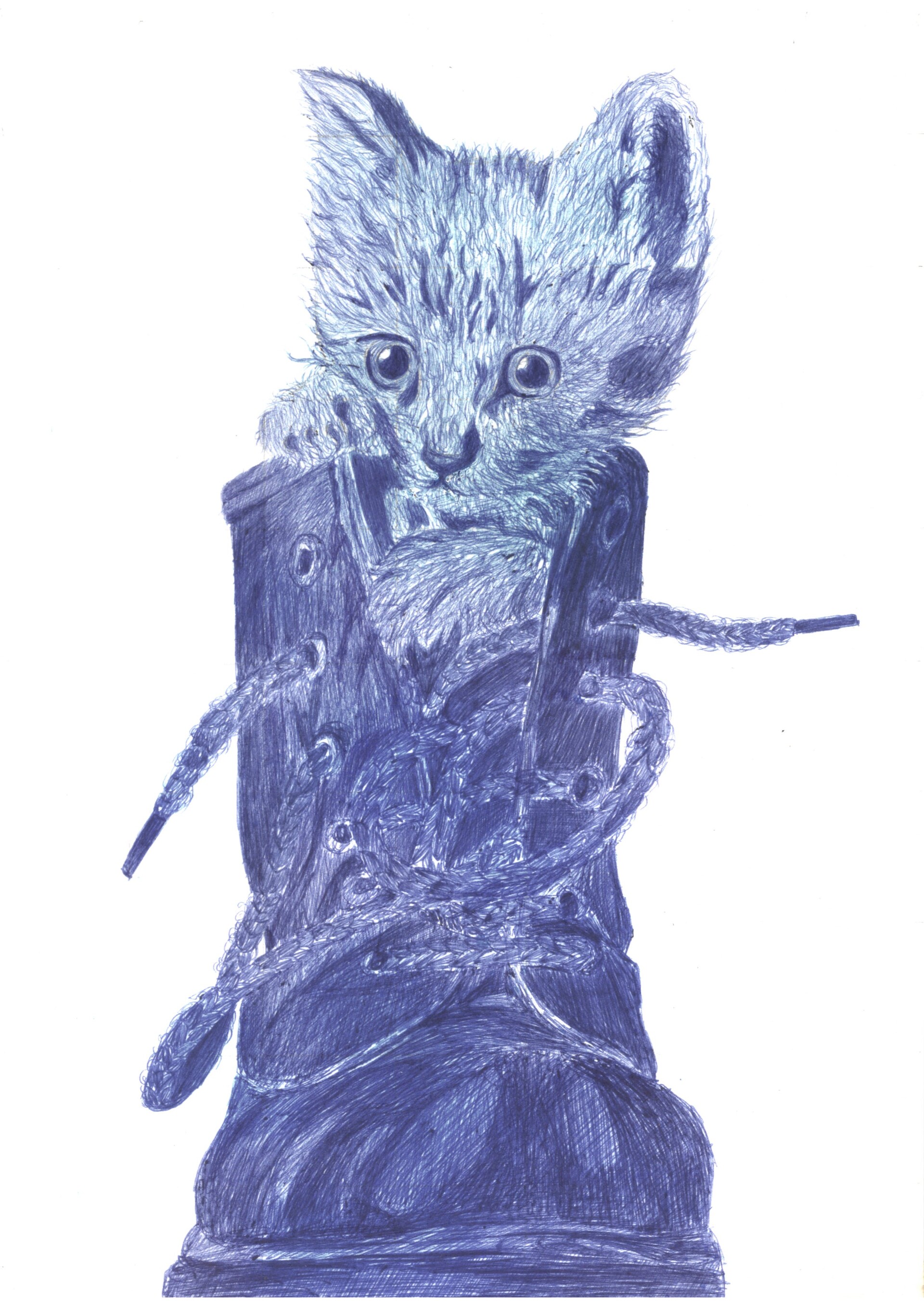 ArtStation - Cat blue pen art