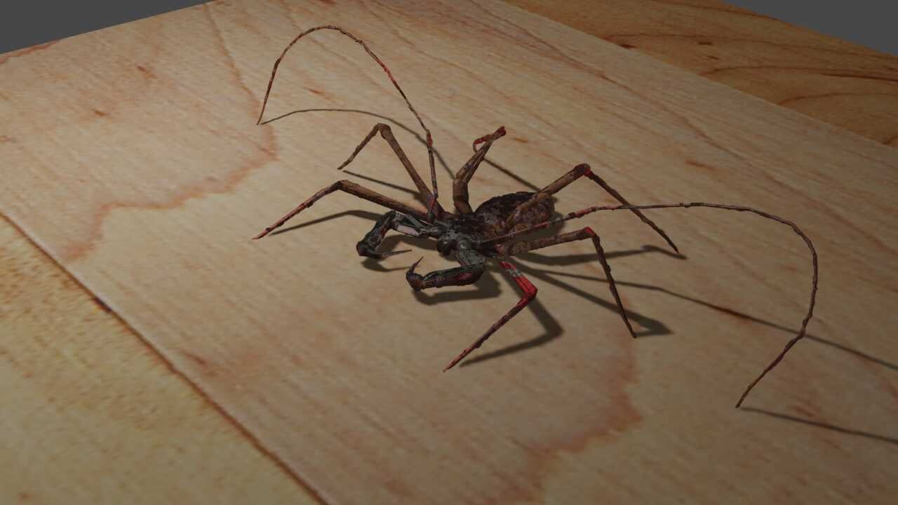 ArtStation - Tendarapo