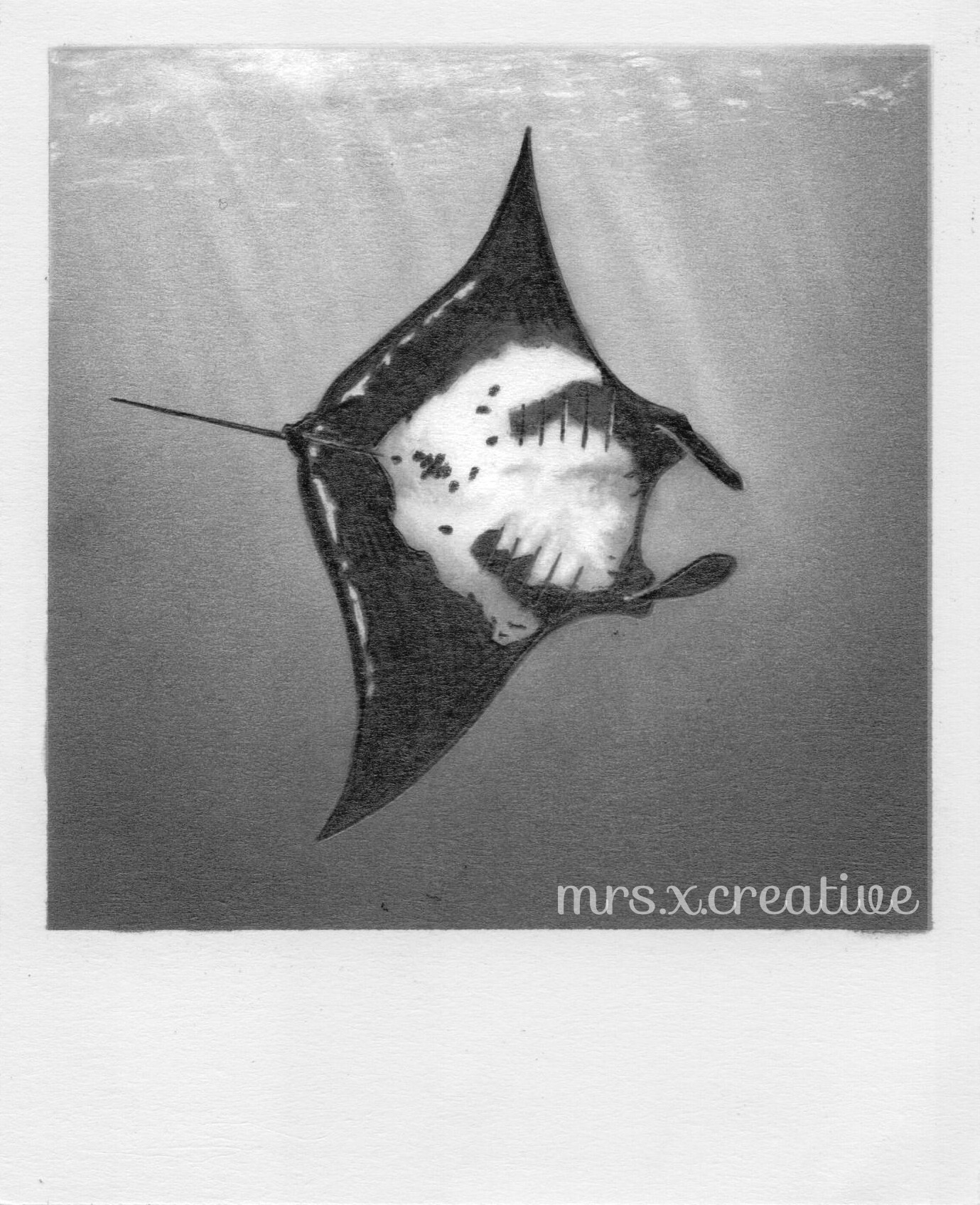 ArtStation - Manta Ray