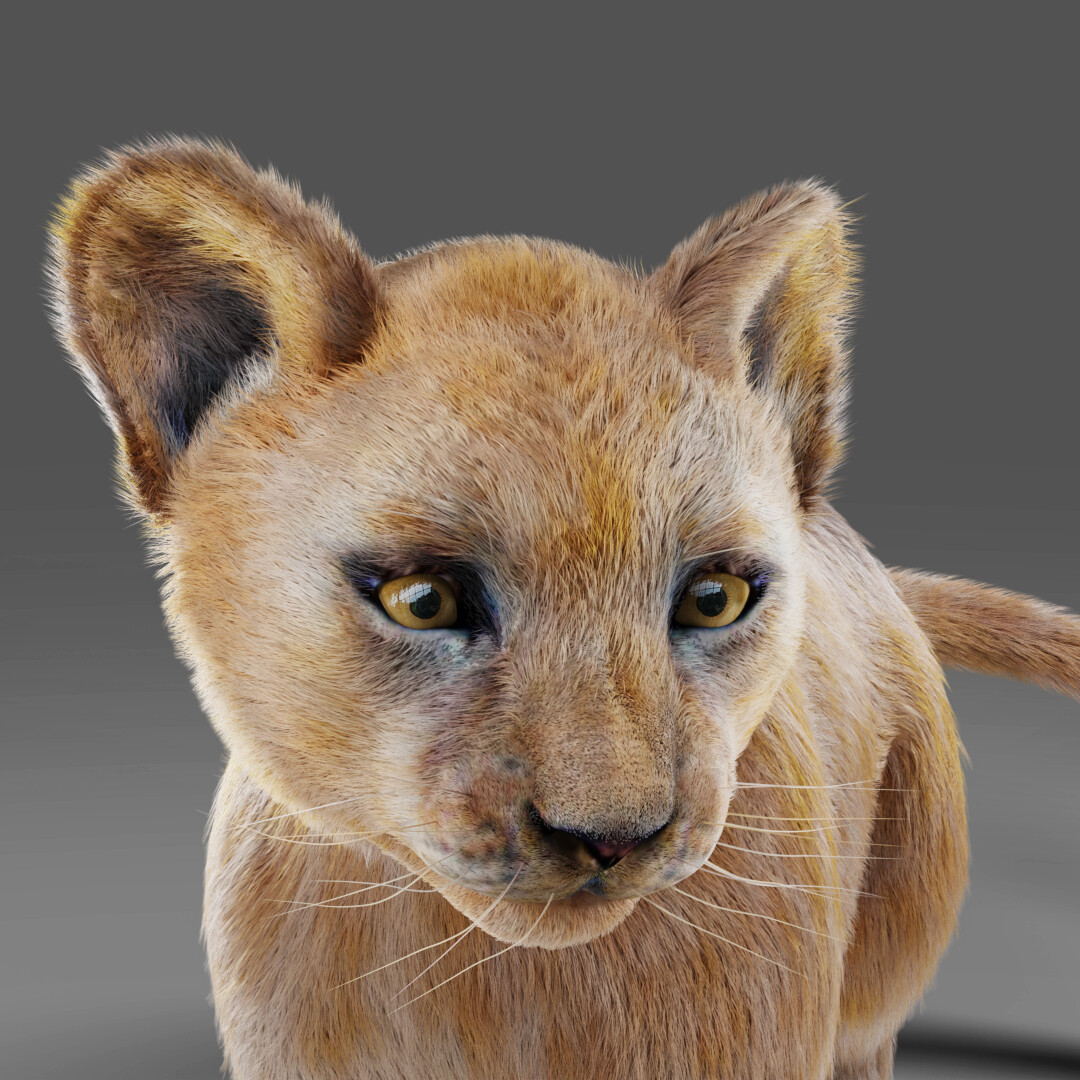 3d animal factory - Fur Baby Lion Rigged and Animated in Unity