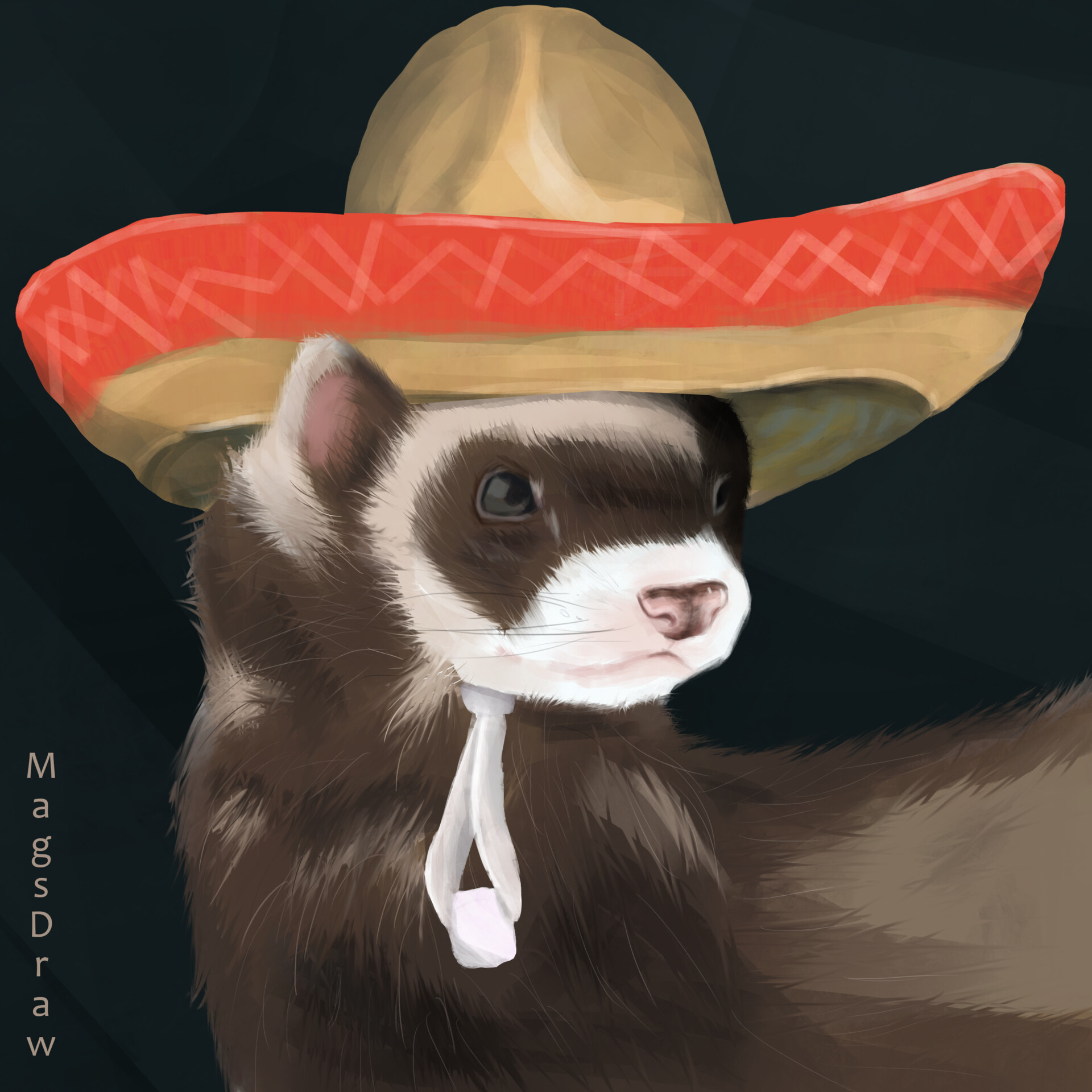 Ferrets Wearing Hats