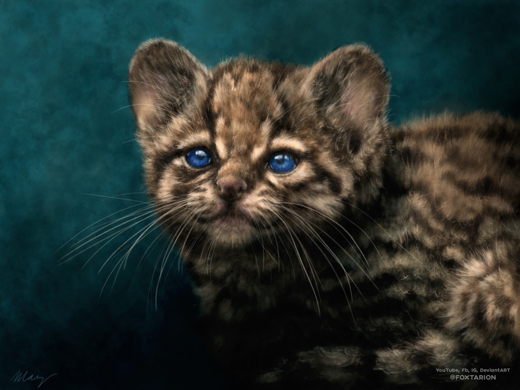 ArtStation - Digital Art - Margay Cub
