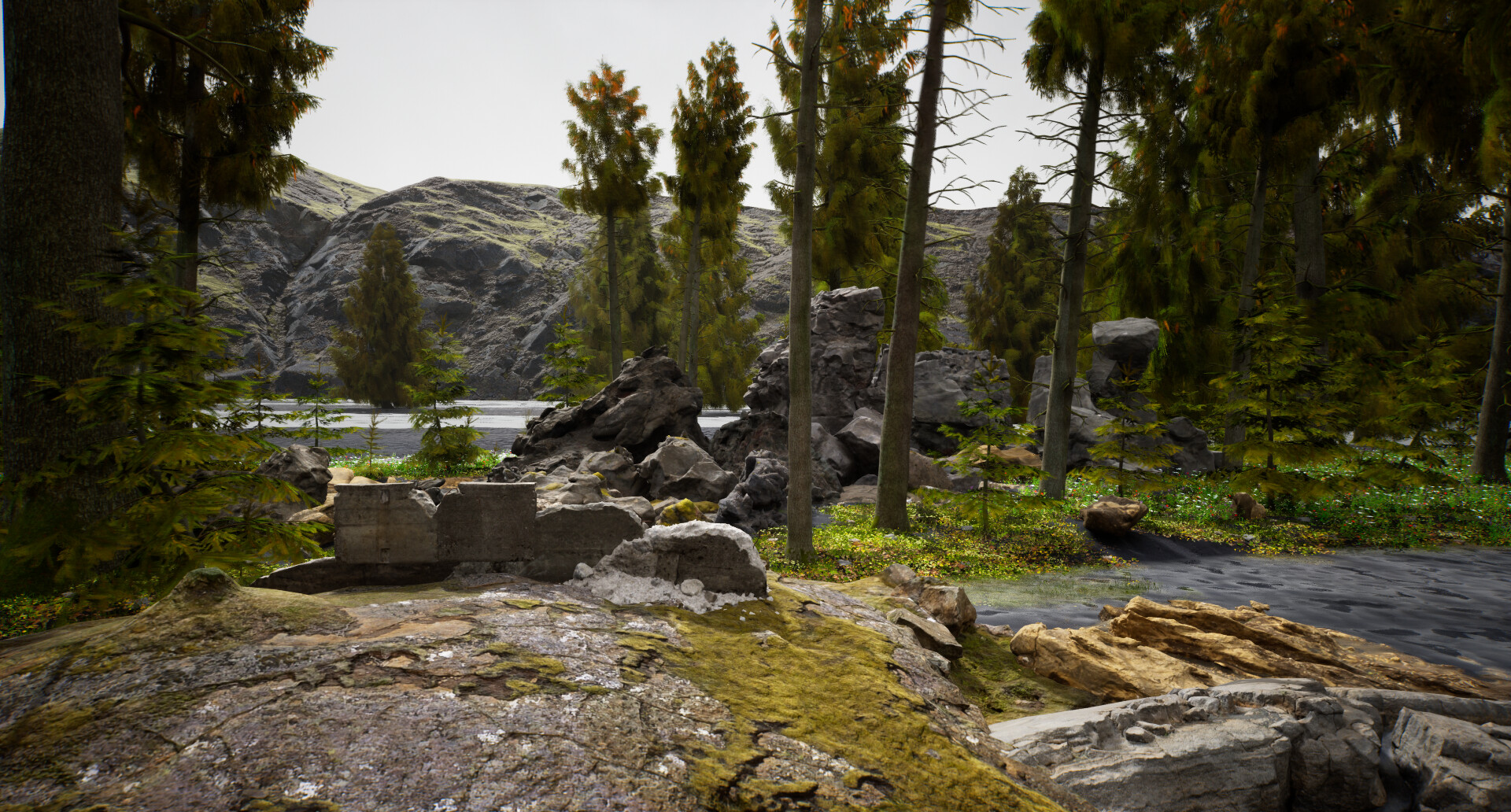 ArtStation - Eastern Iceland Spruce Forest [UE5.0.3 with Lumen and ...