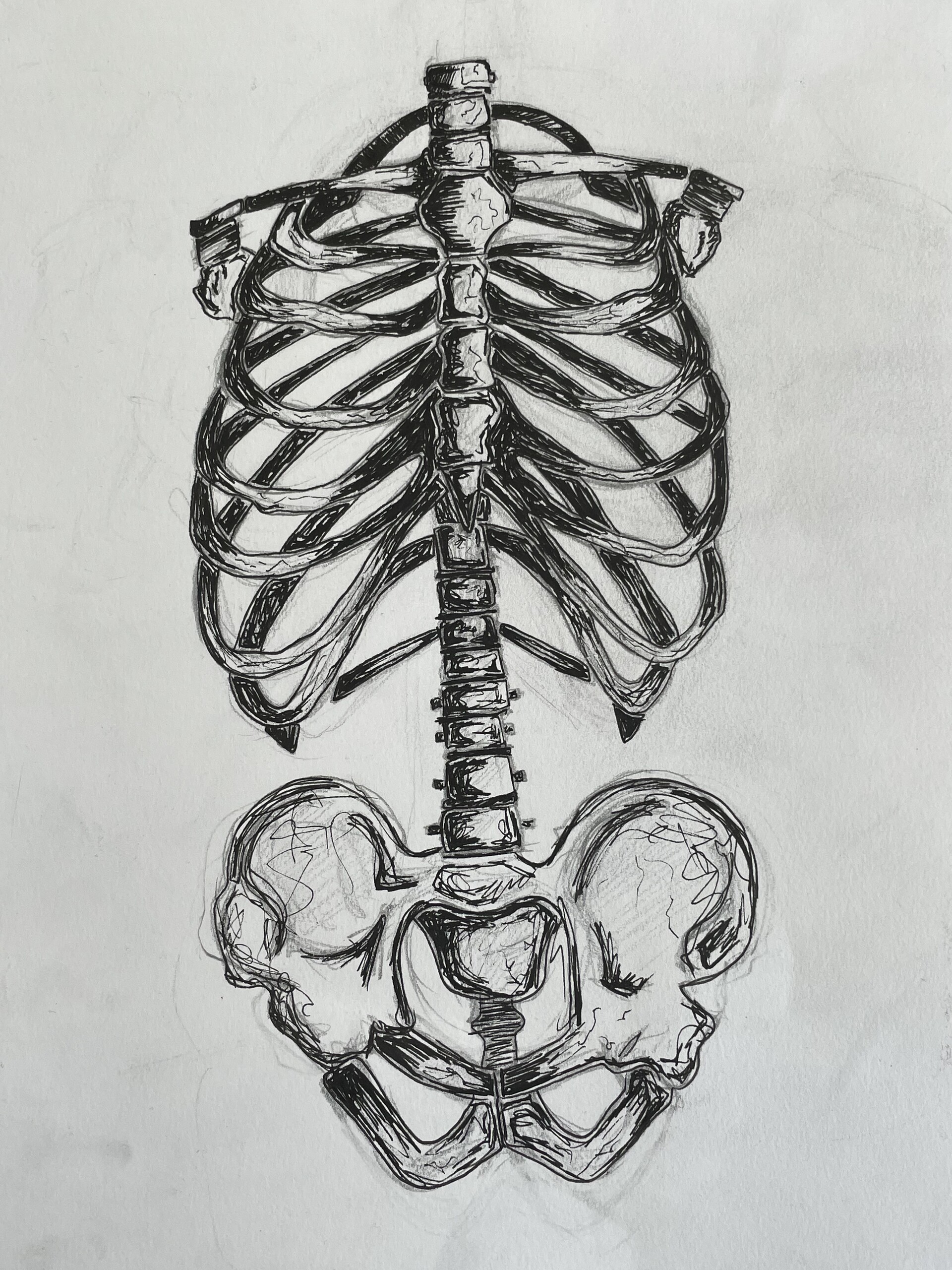ArtStation - Skeleton