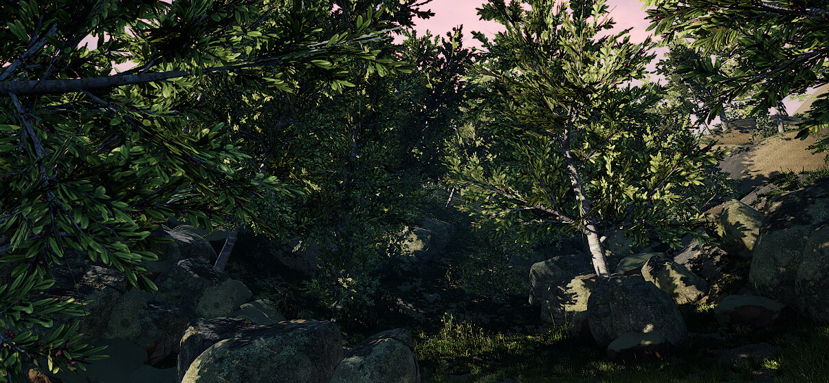 ArtStation - 3D Forest Real Time Rendering