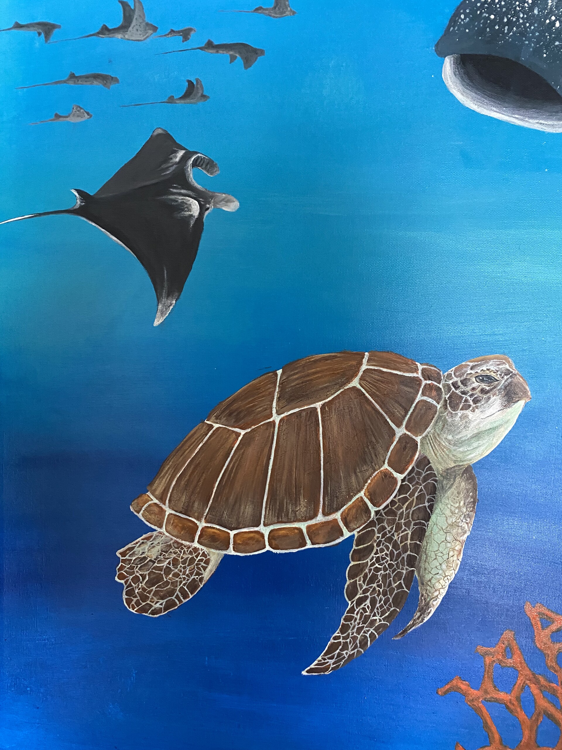 Cody Birk - Sea creature triptych