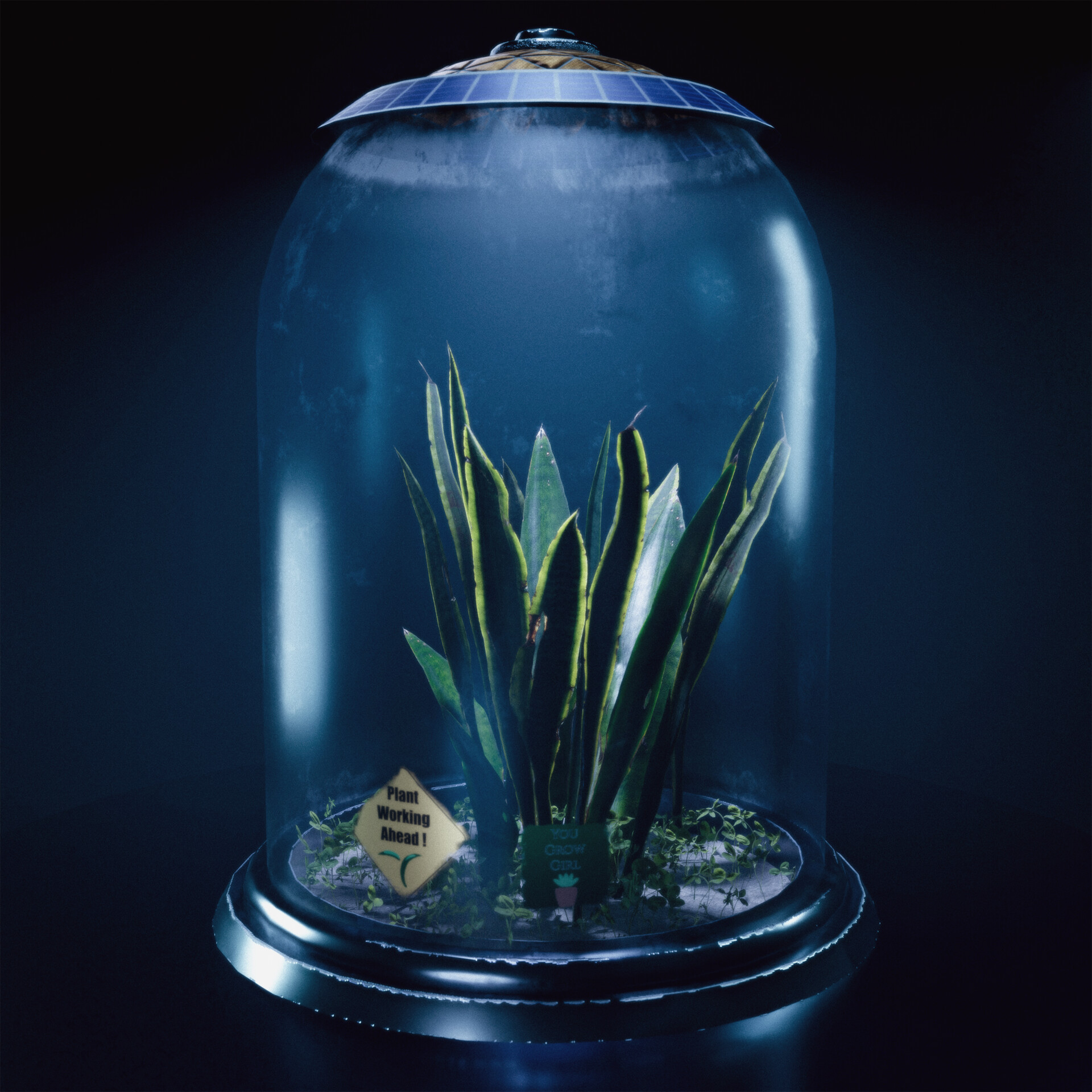 ArtStation - Sci-Fi Terrarium