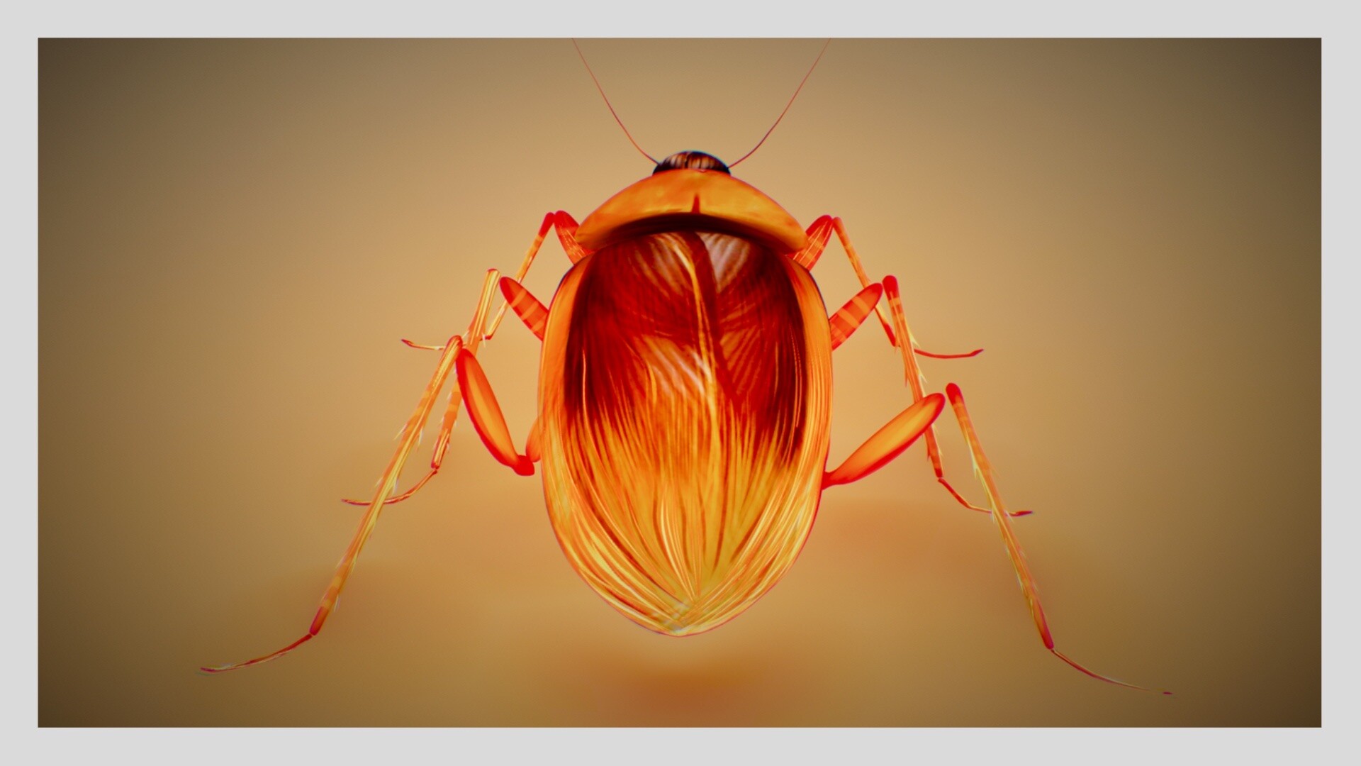 ArtStation - COCKROACH