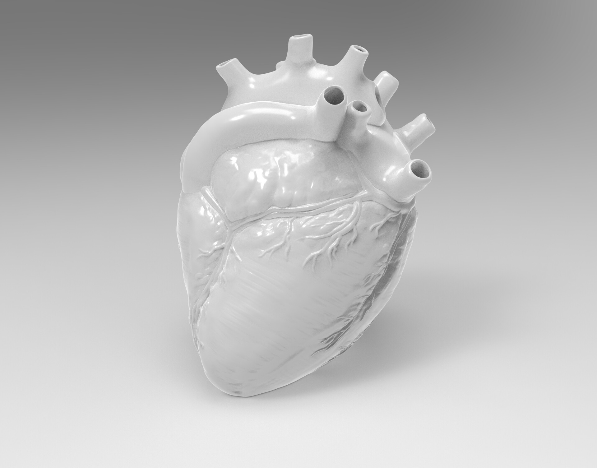 Printable Human Heart Real