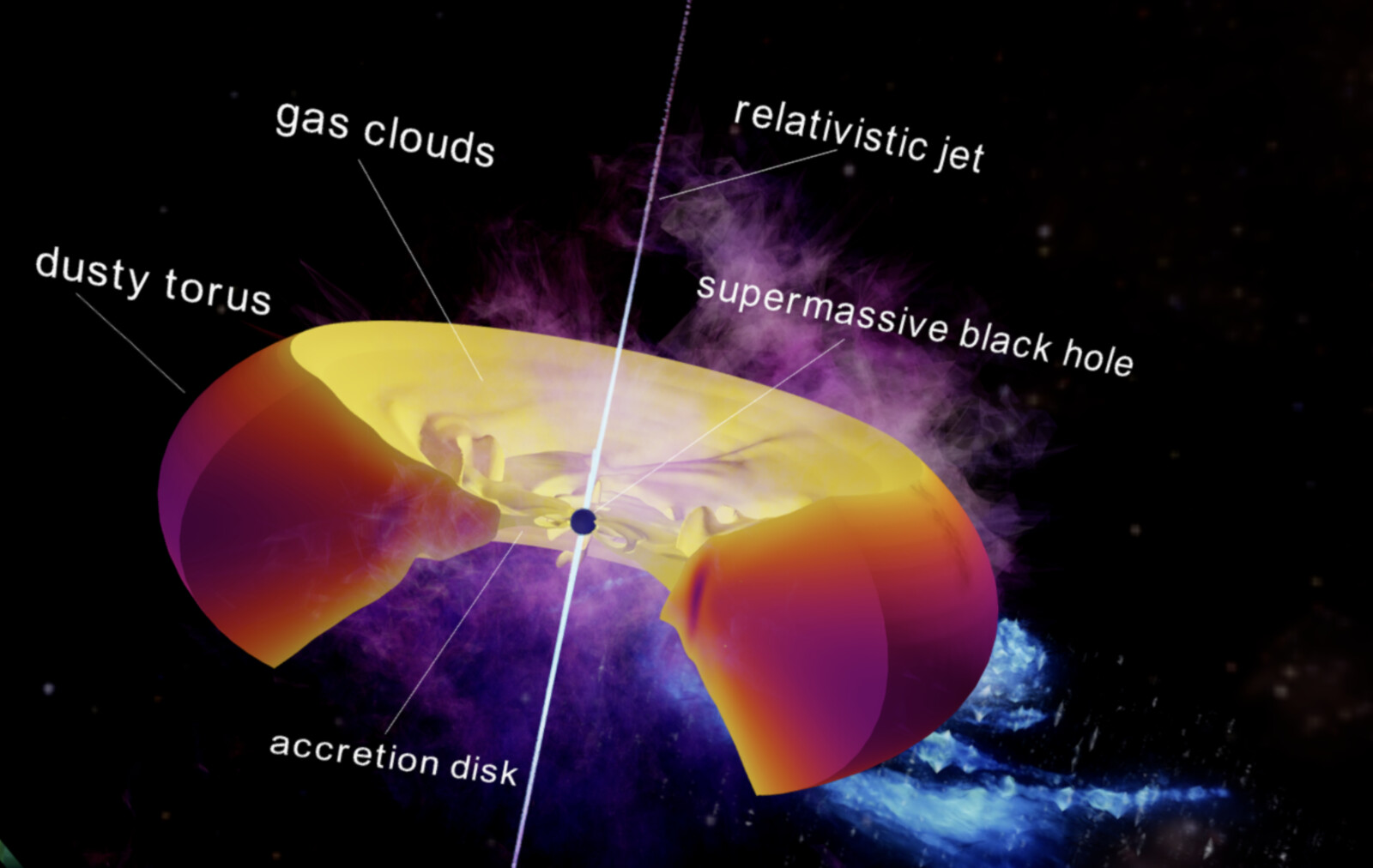Salvatore Orlando - Structure of an Active Galactic Nucleus (AGN)