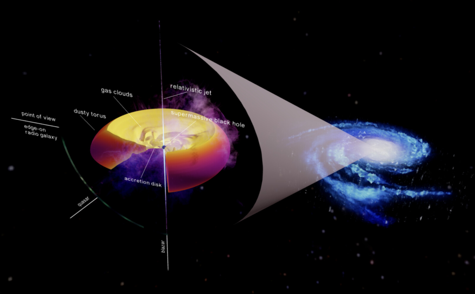 Salvatore Orlando - Structure of an Active Galactic Nucleus (AGN)