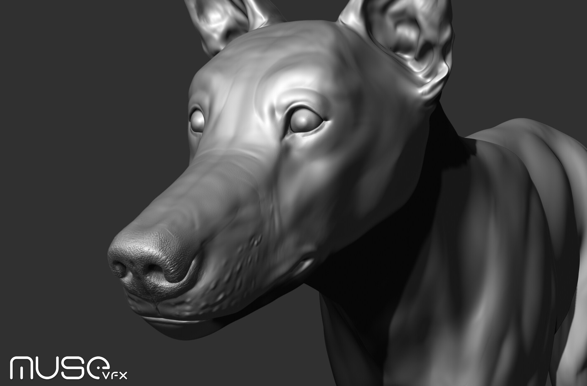 ArtStation - Wolf Model for Muse VFX