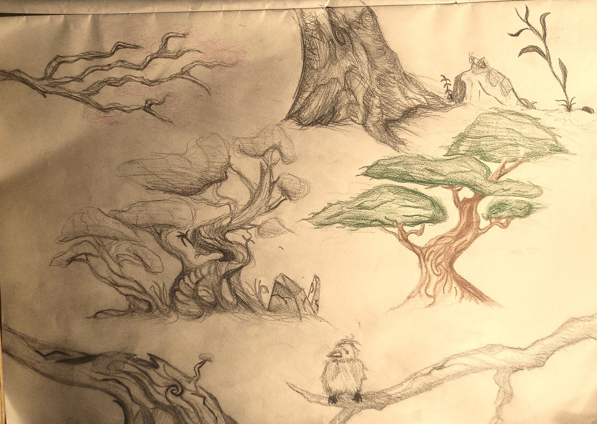 ArtStation - Tree Sketch Study