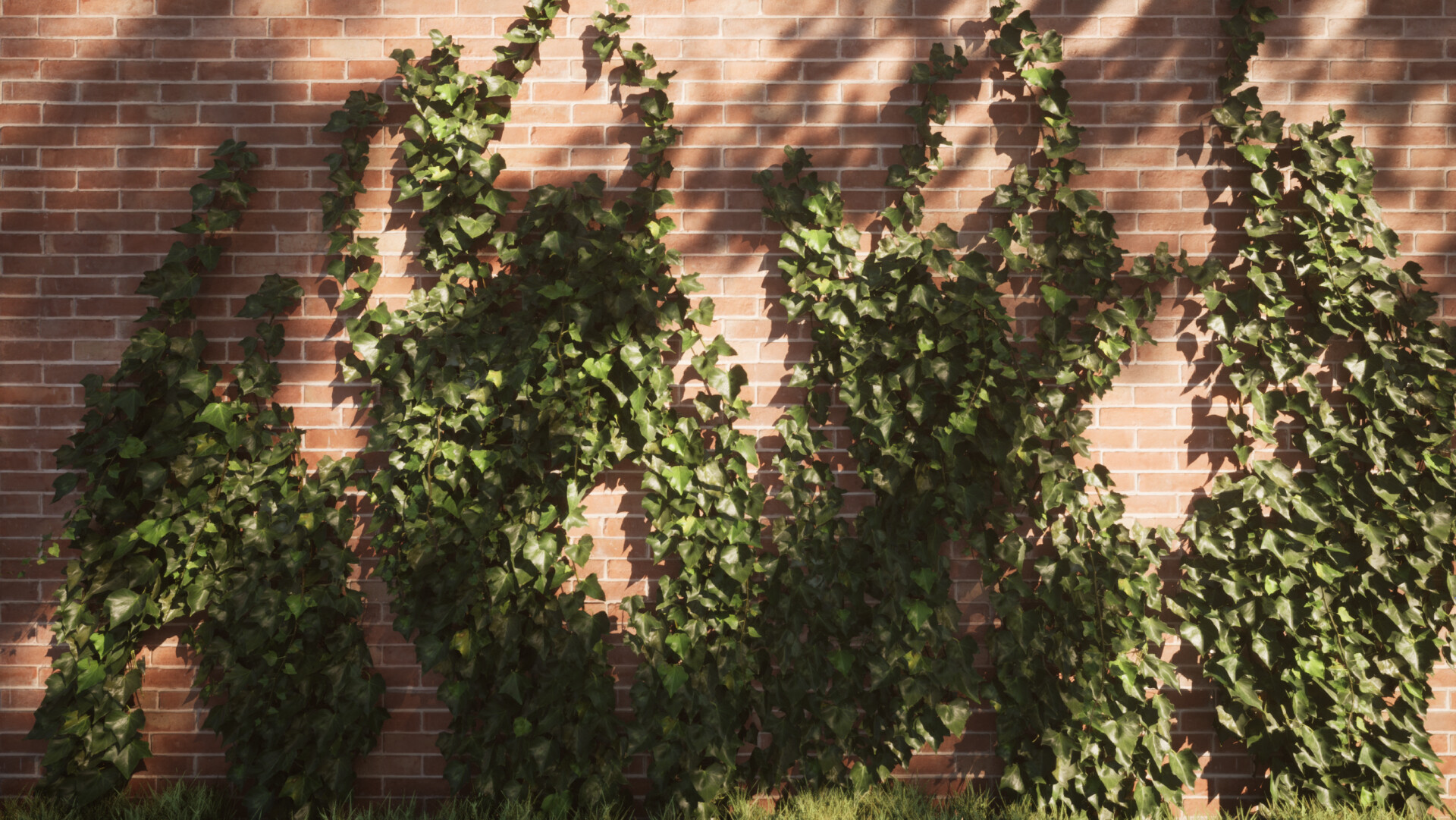 ArtStation - Ivy study