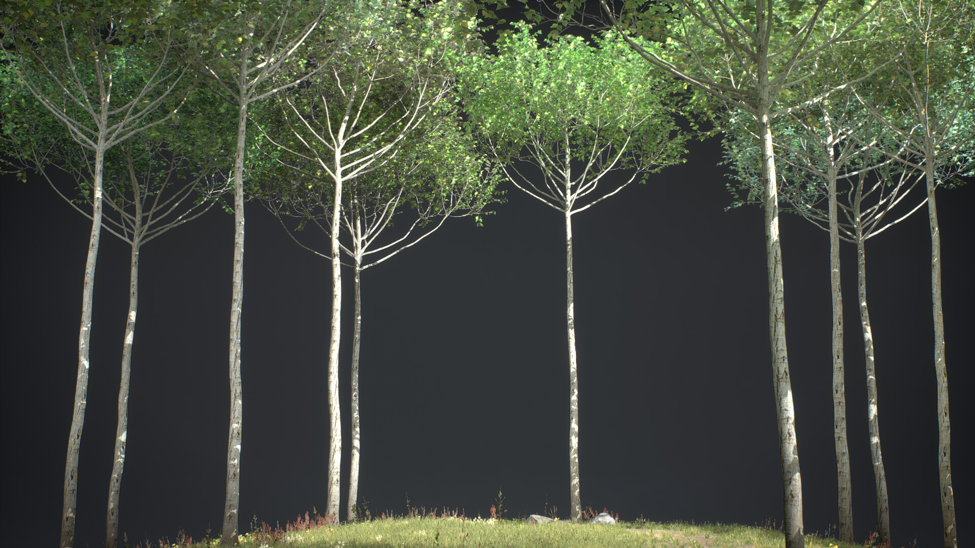 ArtStation - Tree Renders 2
