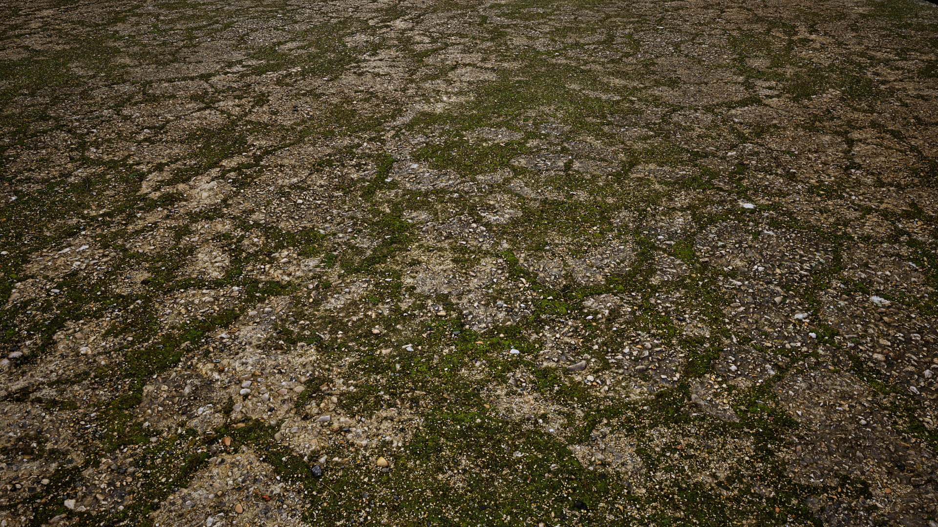 J.Emmanuel Thomas - Concrete Mossy Photogrammetry