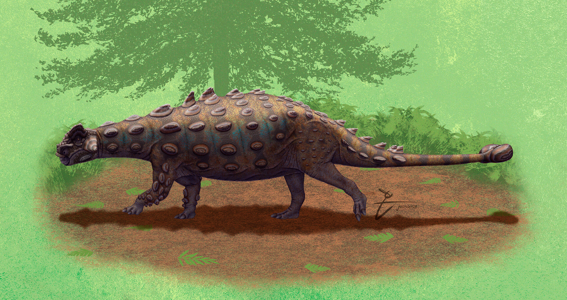 ArtStation - Akainacephalus johnsoni.