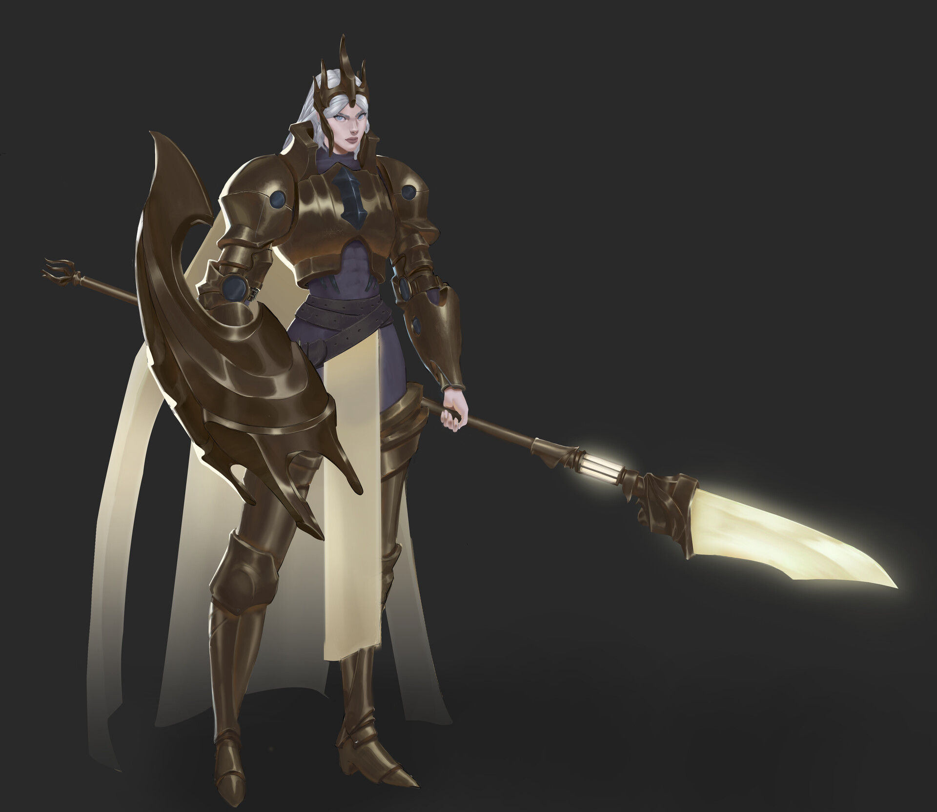 ArtStation - Light Paladin