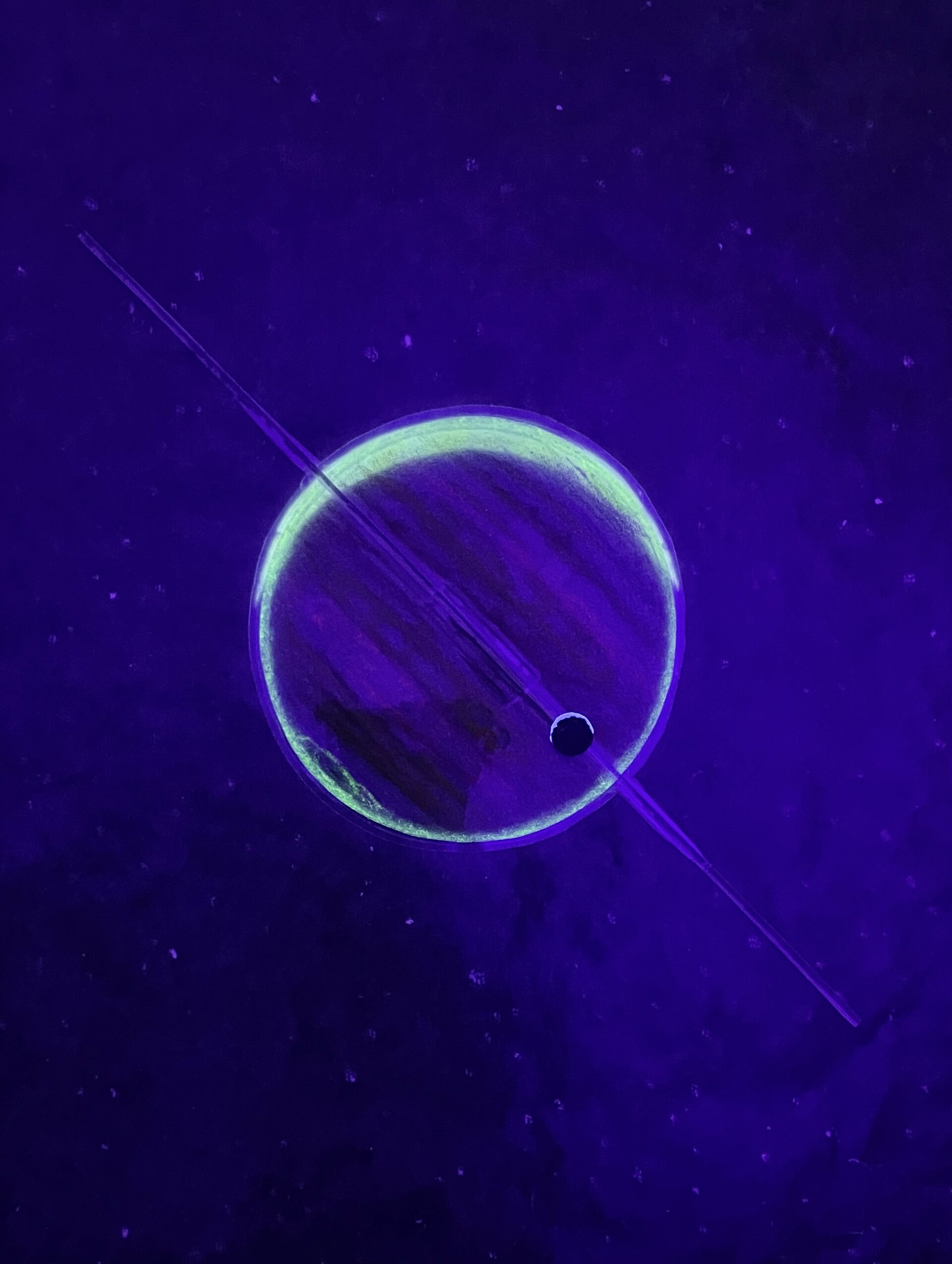 ArtStation - Kepler-47d