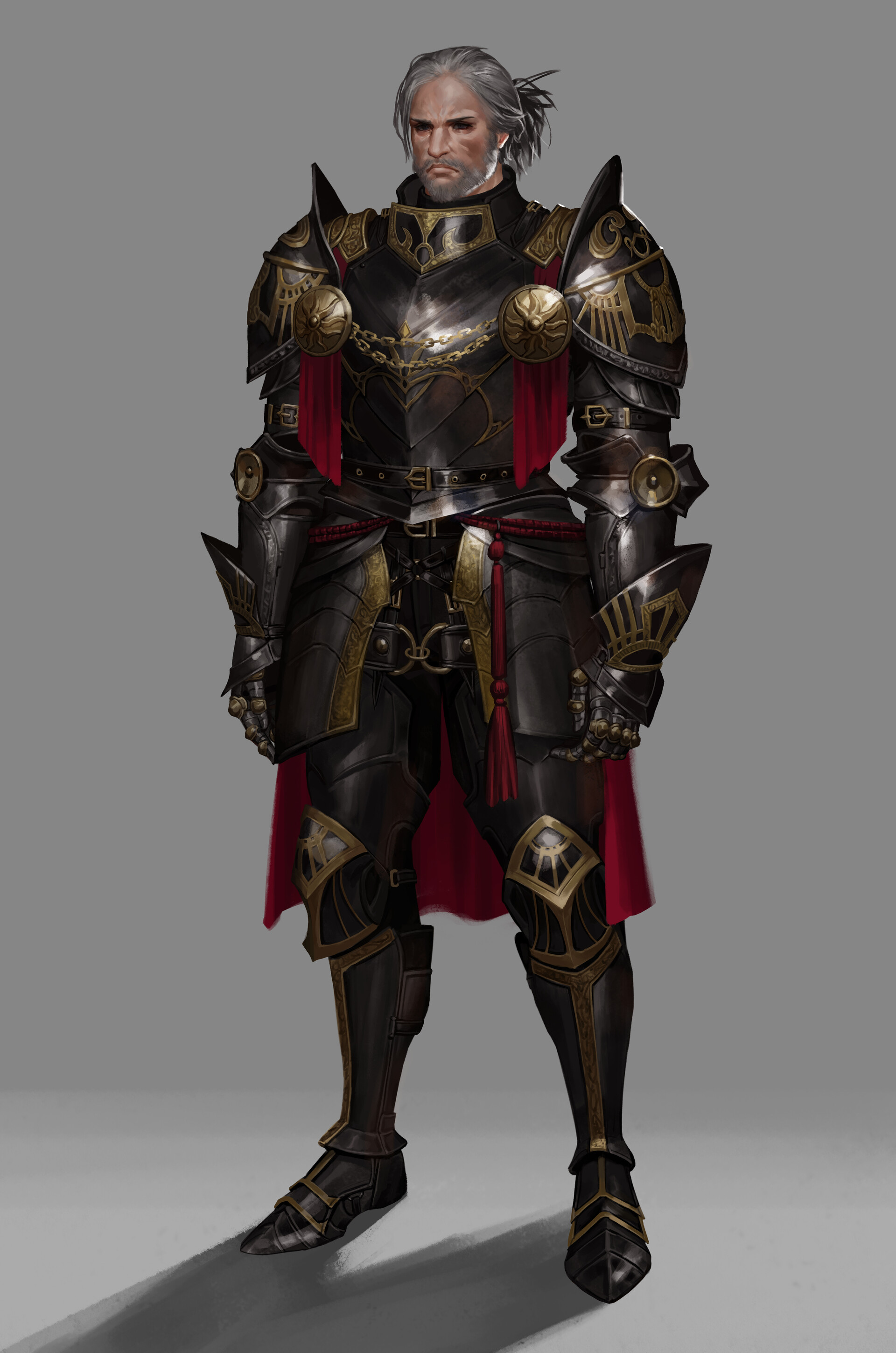 Real Fantasy Medieval Armor