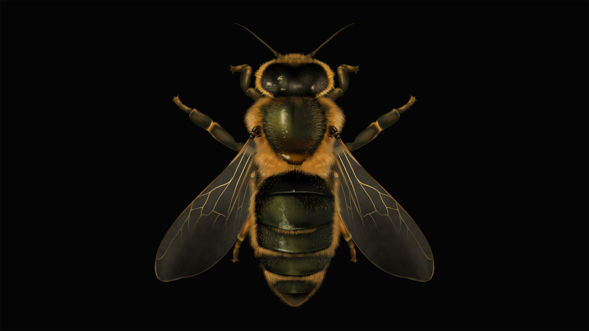 ArtStation - Honey bee