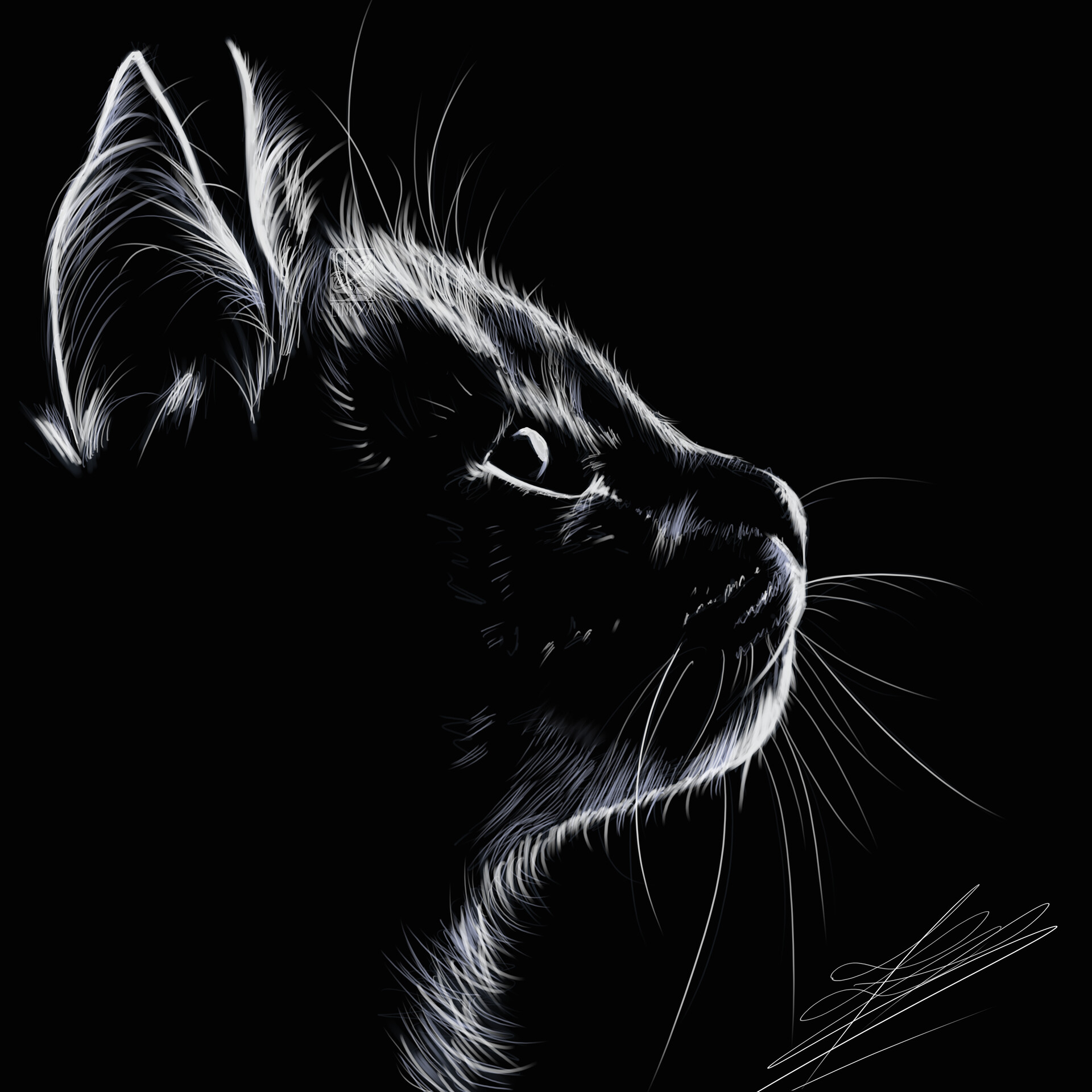 ArtStation - Black And White Cat