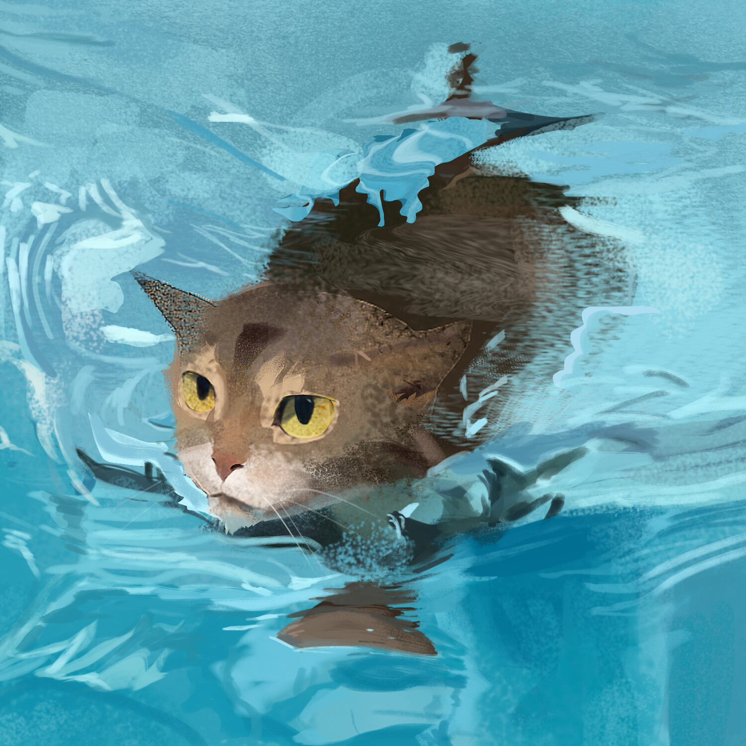 MRRD - all about water